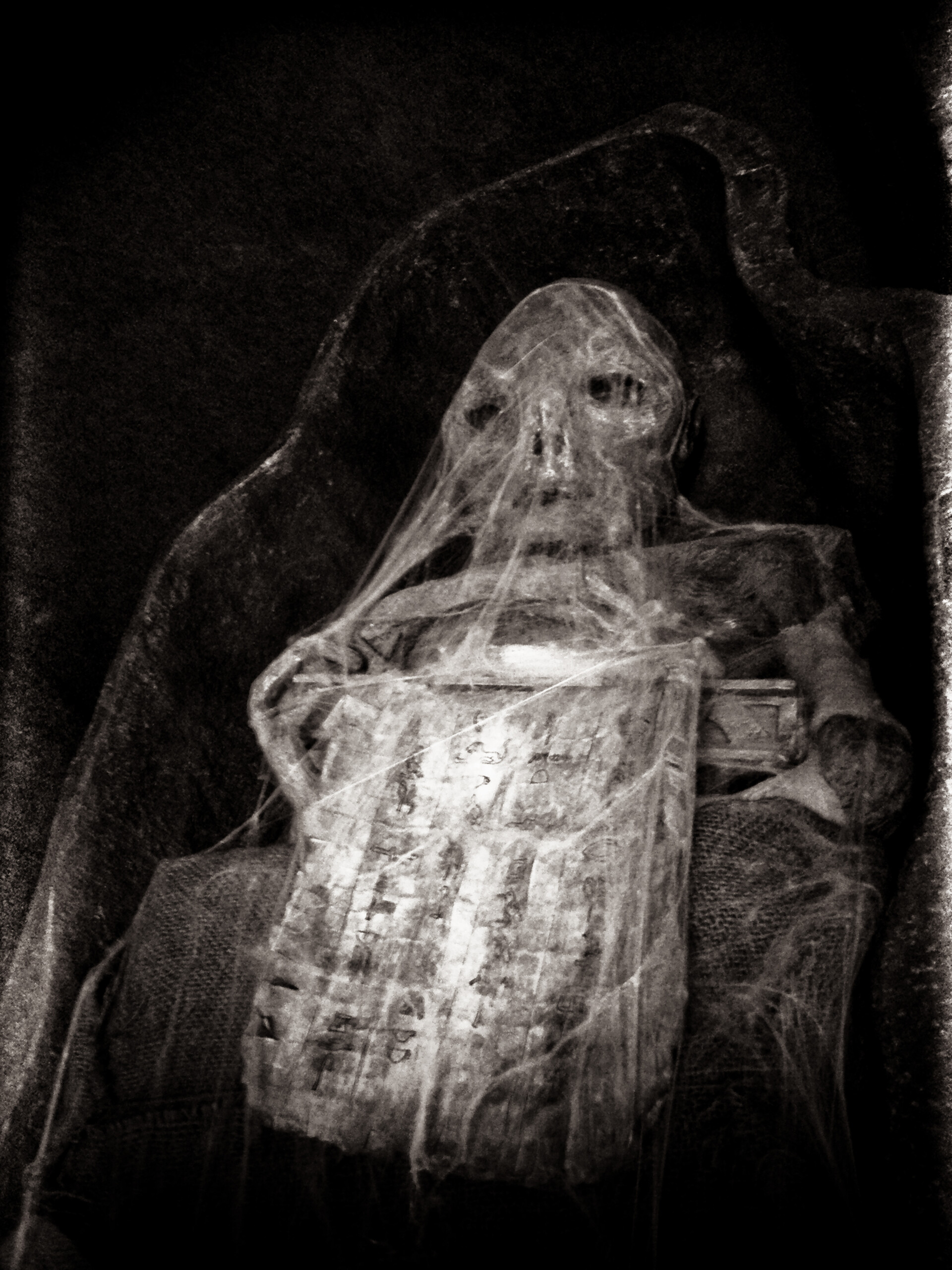 Michael Knight - Photos of the Alien Mummy Project