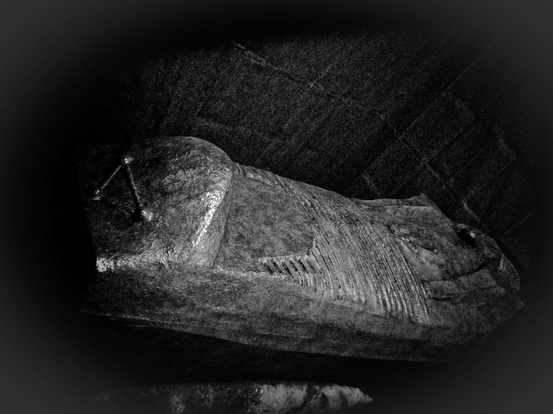 ArtStation - Alien Sarcophagus Prop