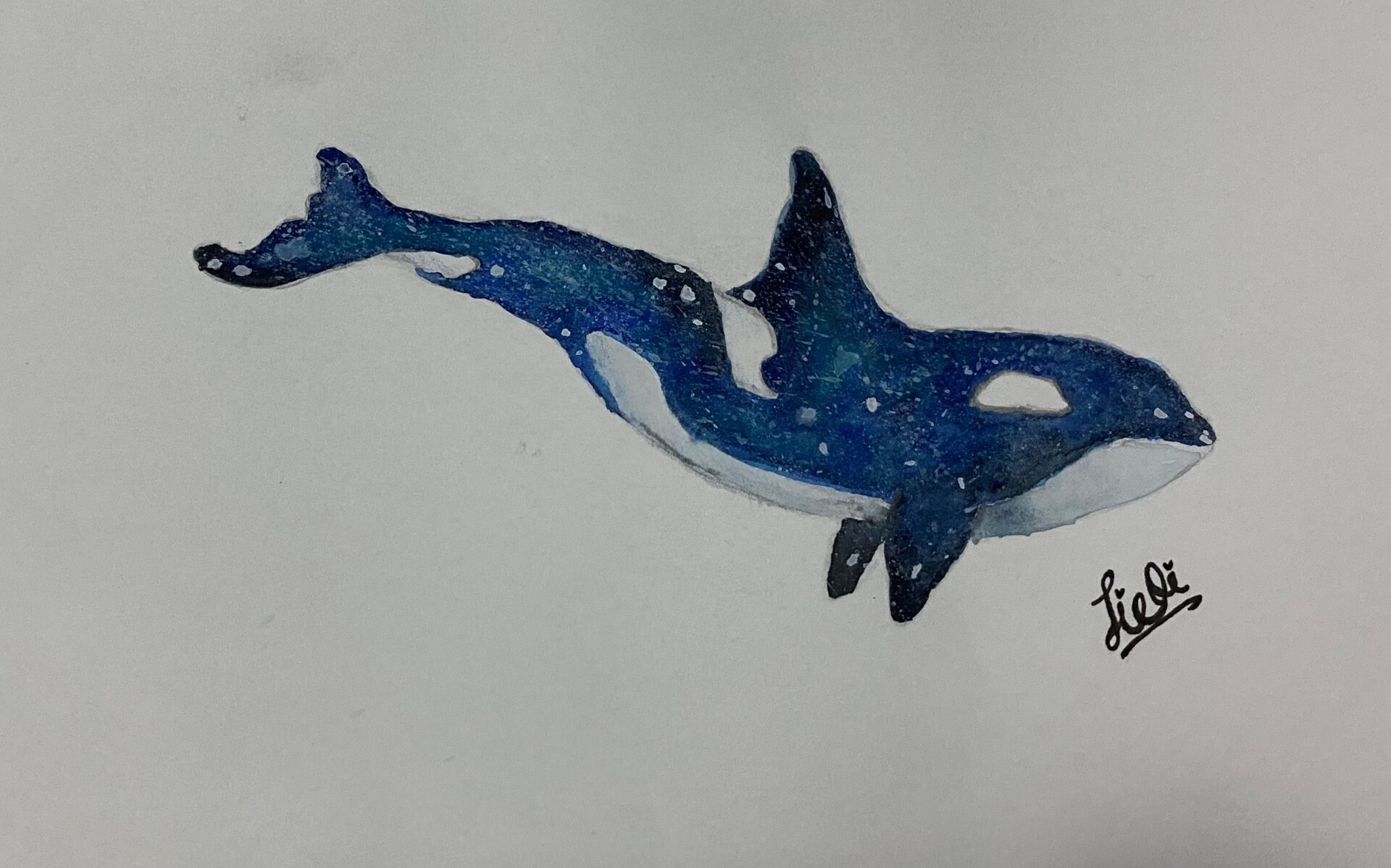 ArtStation - Orca (Water Color)