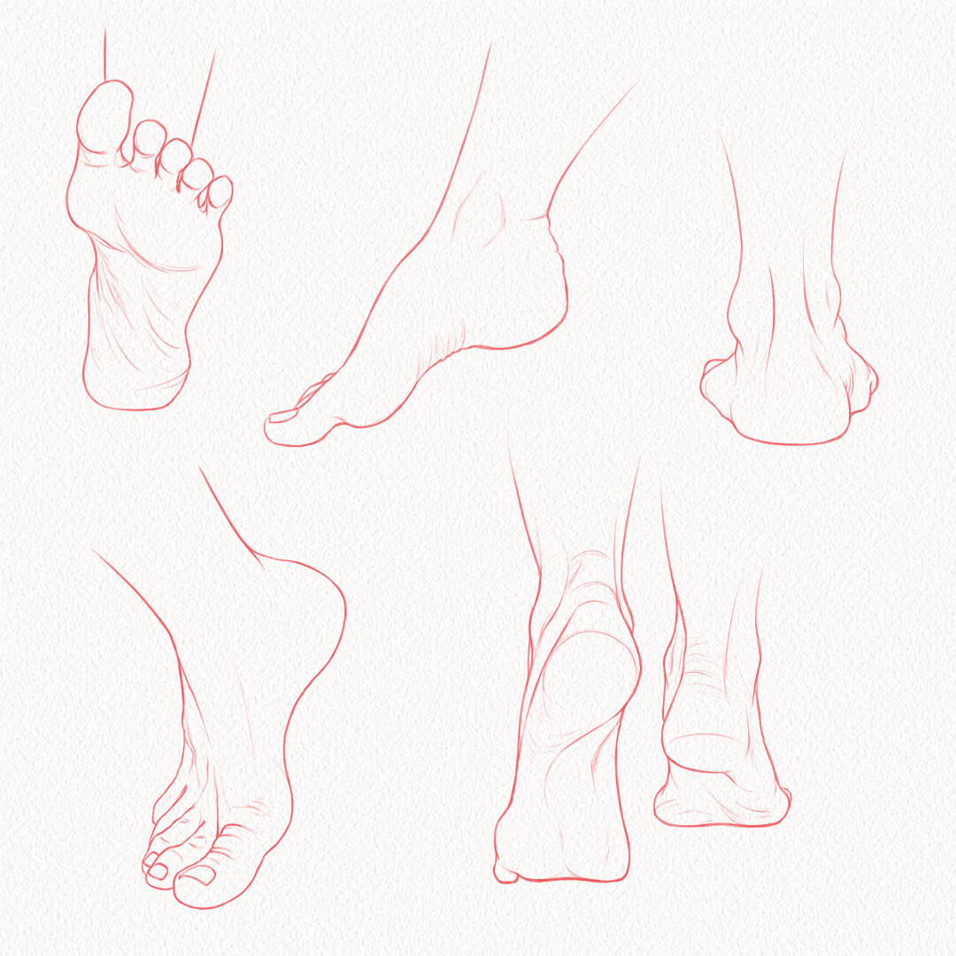 Tulika Tripathi - Anatomy practice