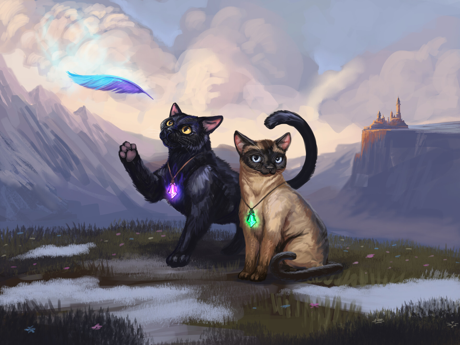 magic cats