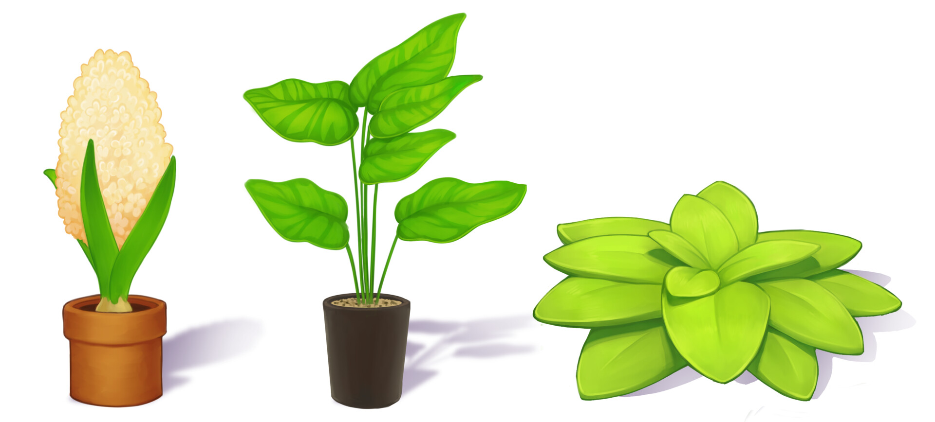 ArtStation - Plants study