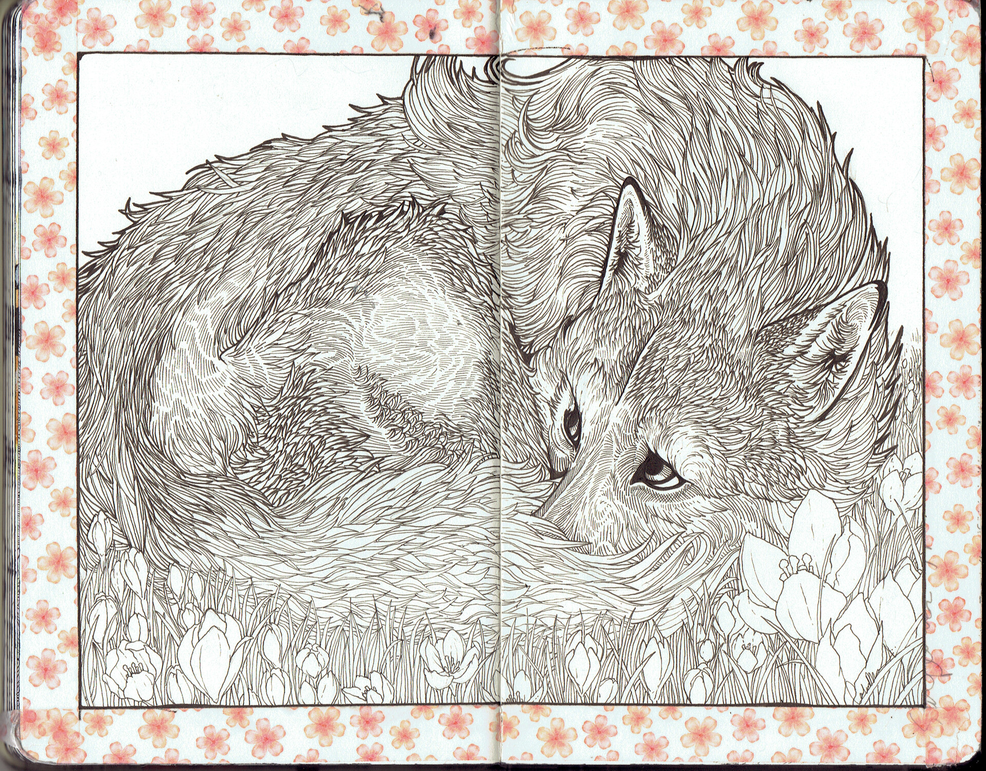 Candace Breakell - spring wolf