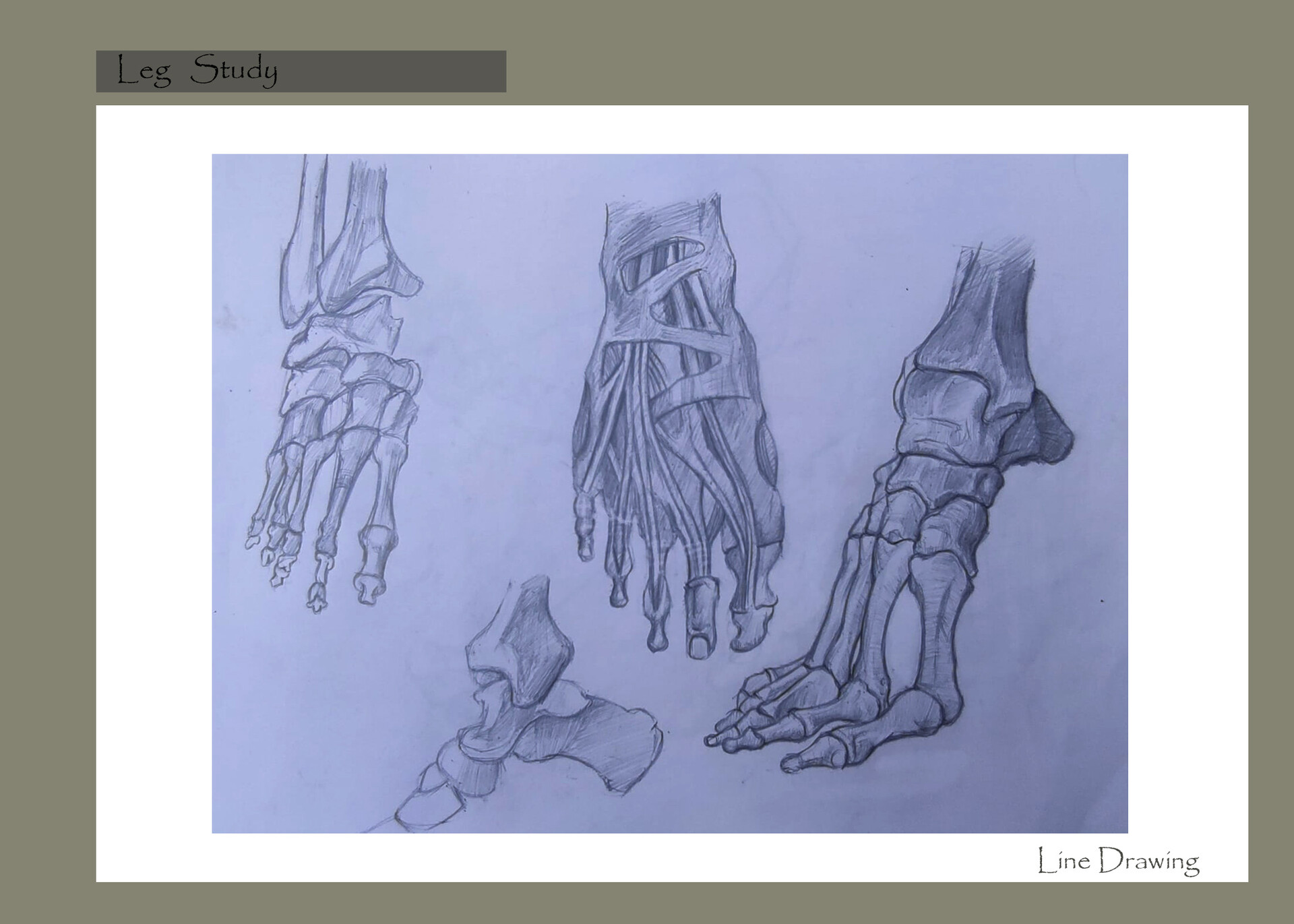 ArtStation - Leg study Pencil Drawing