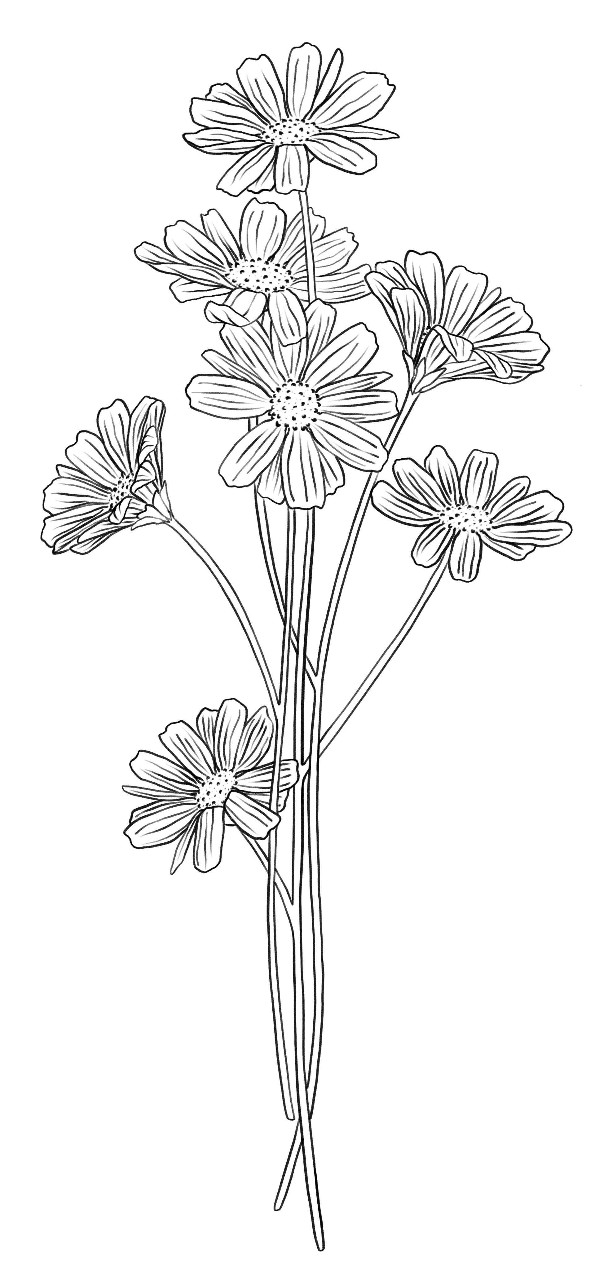 amelia claire arts - curt tattoo design