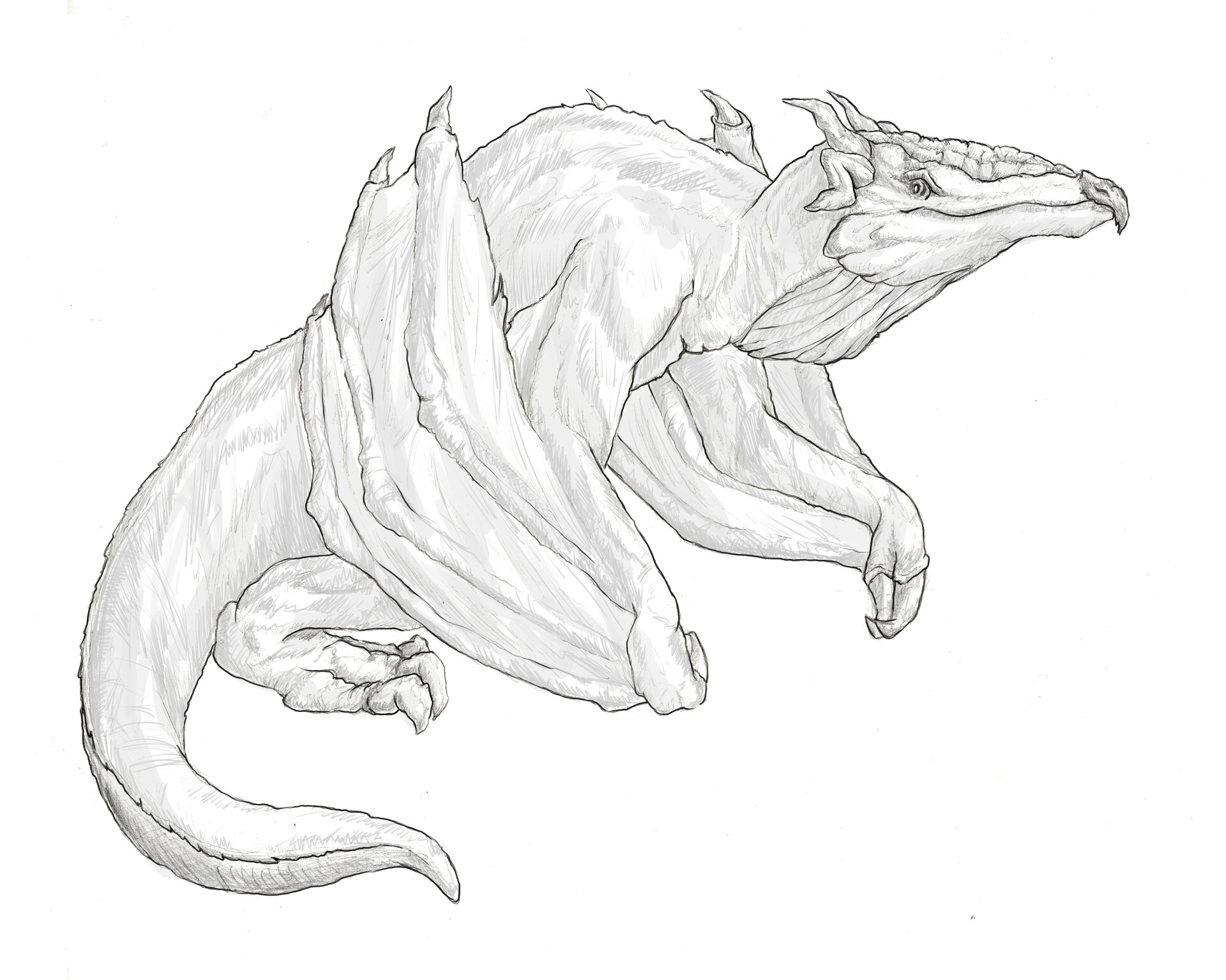 ArtStation - More Dragon Designs