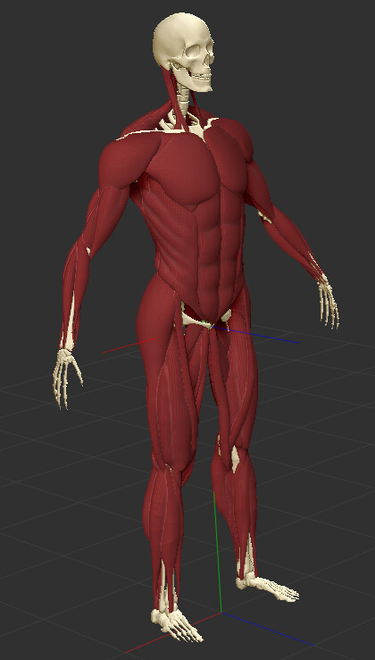 ArtStation - Digital Figure Sculpting