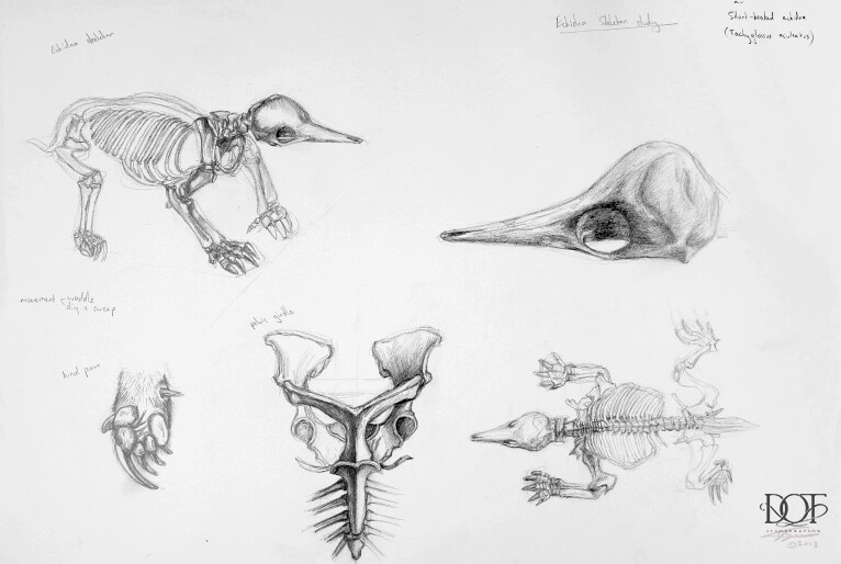 Dot Illustration - Creature Design #1