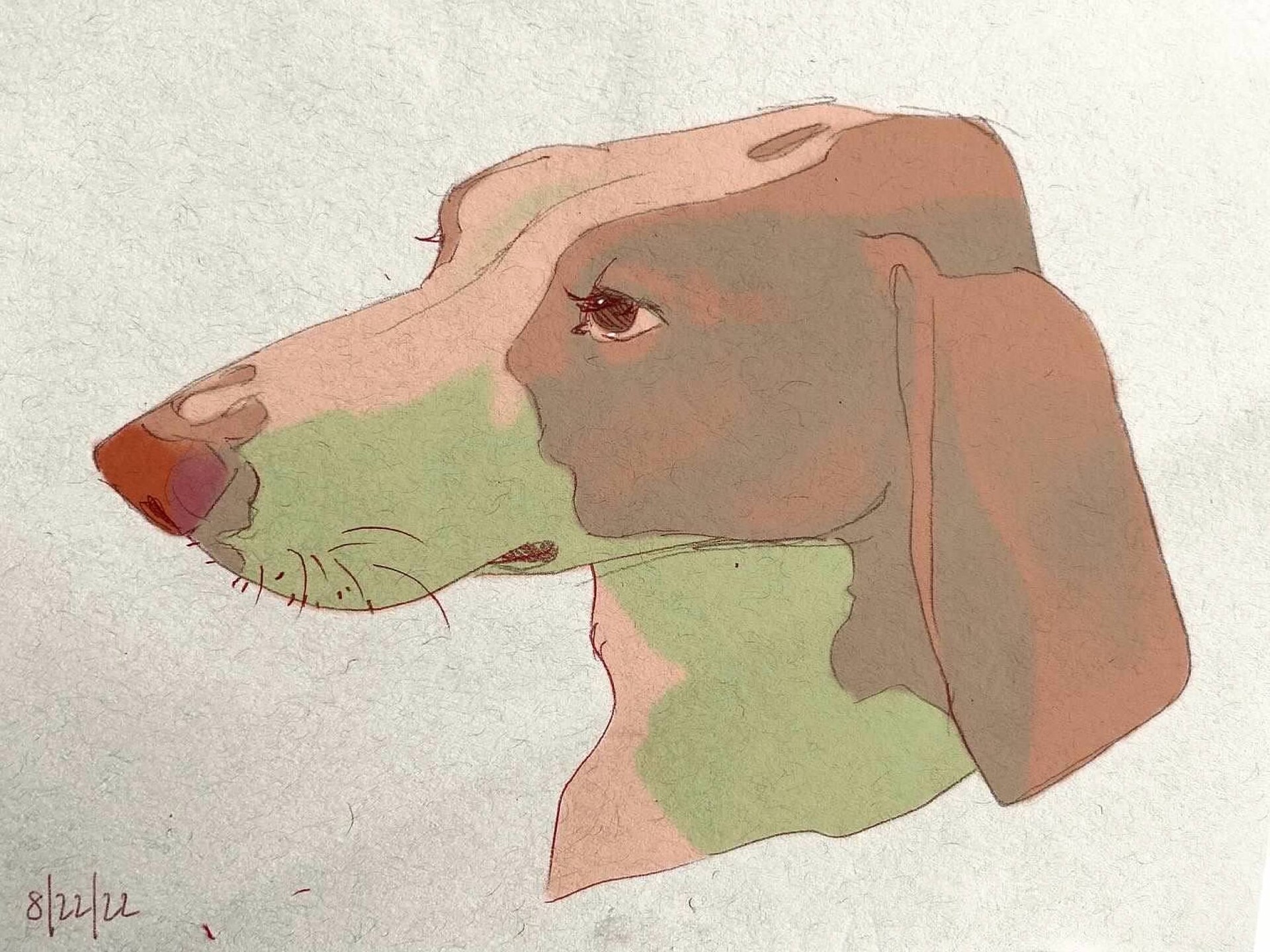 ArtStation - jamie sketch