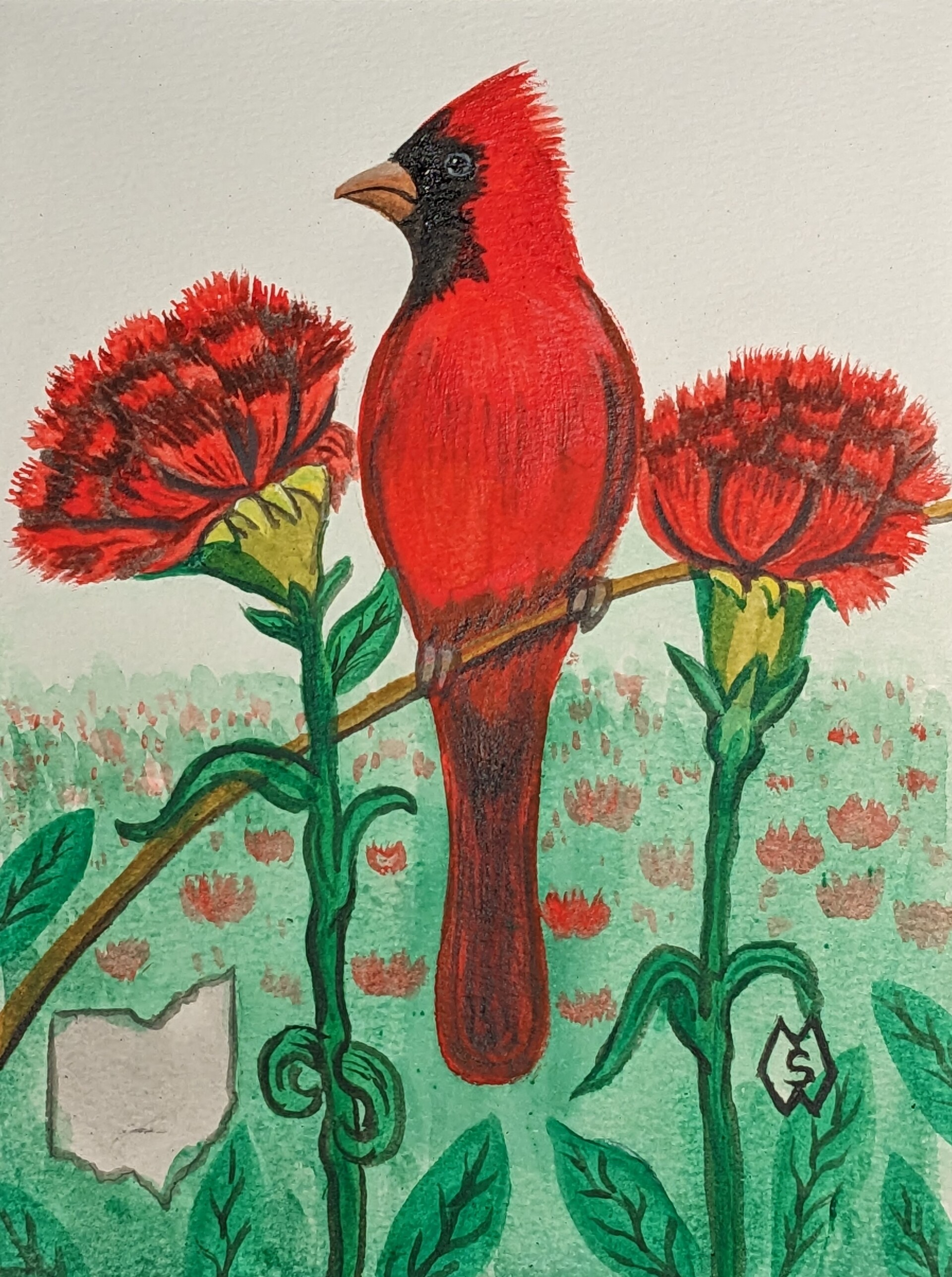 What Is The State Flower And Bird Of Ohio | Best Flower Site