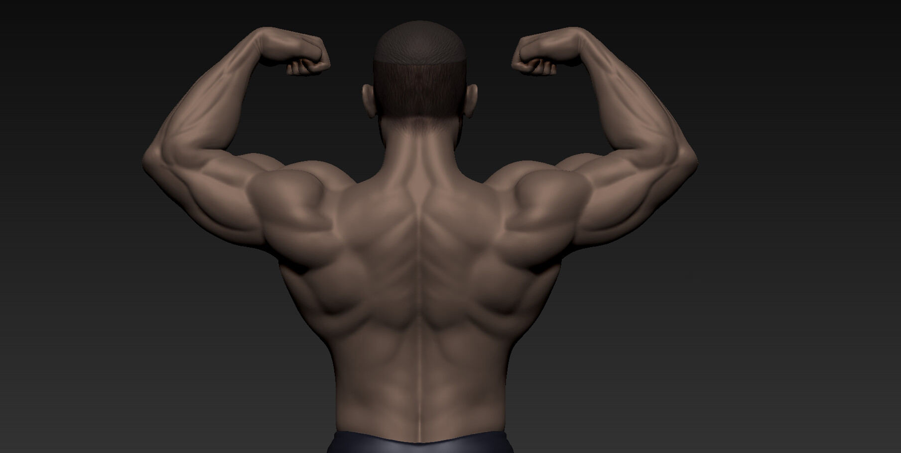 Ramanan D.Titus - Anatomy Study #4 (Form, Shape & Structure of the ...