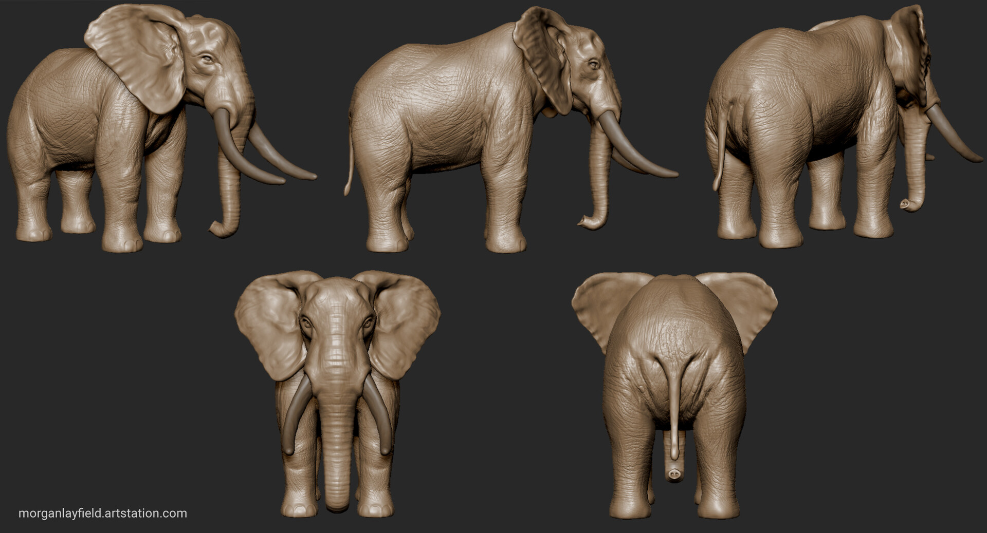 ArtStation - Elephant