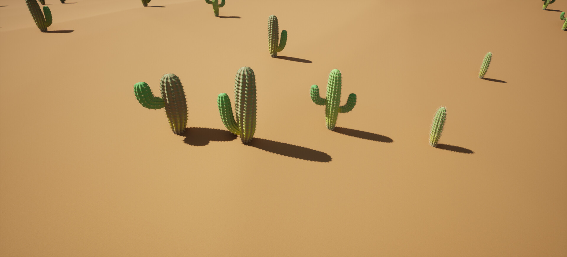 karelkiers.com - Houdini: Cactus Generator