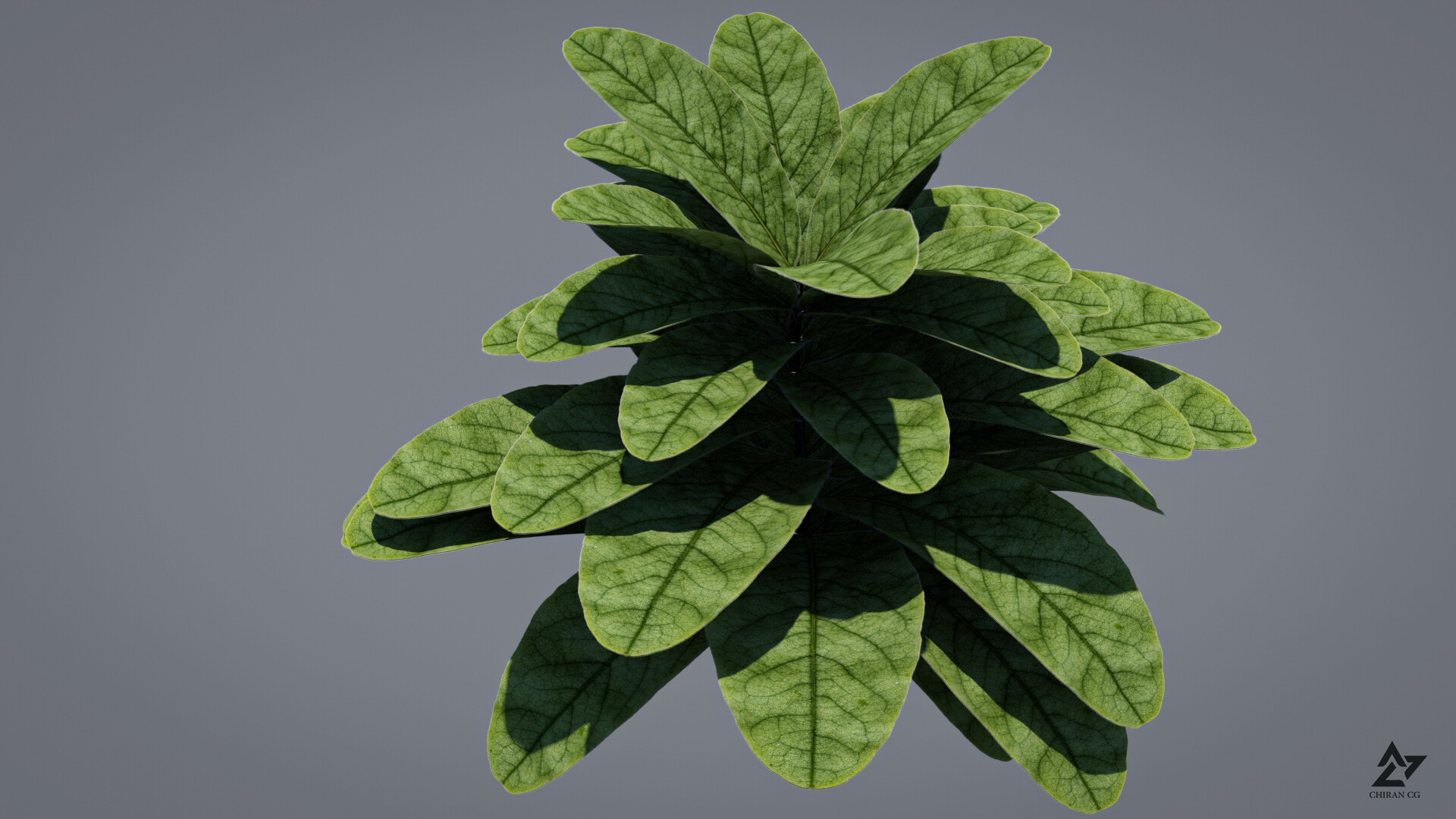 ArtStation - small plant