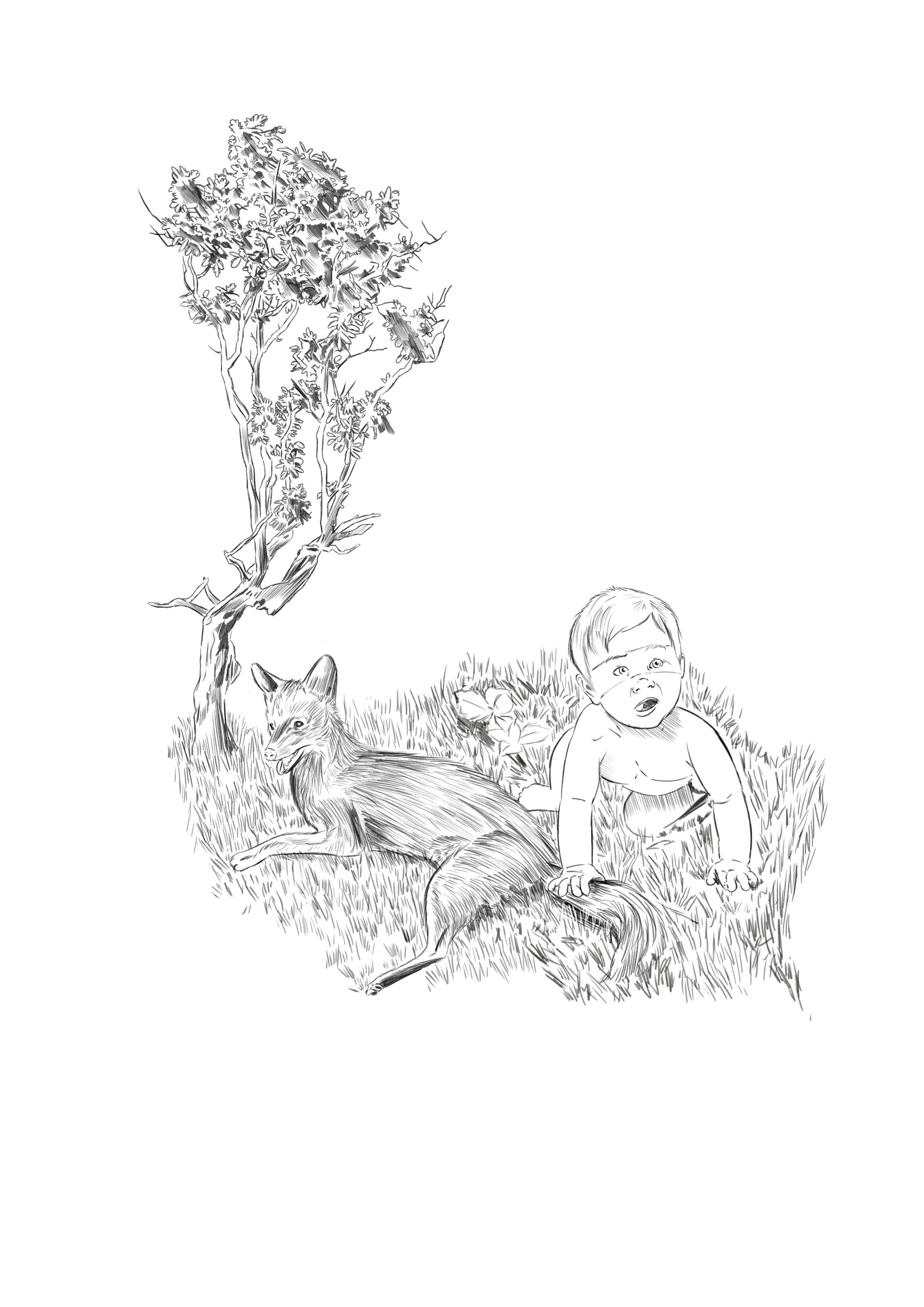 ArtStation - Rudá baby. Xingu book