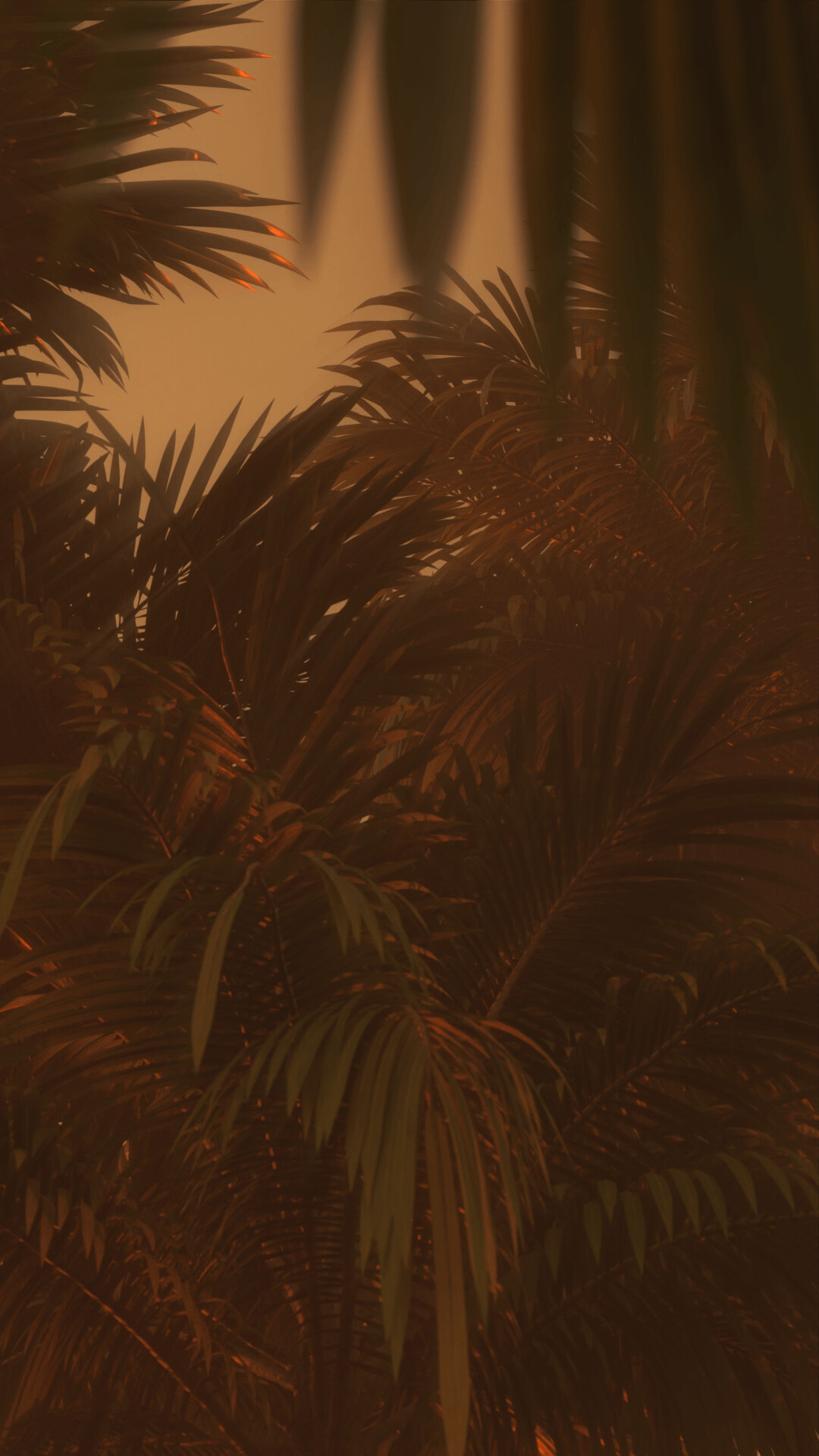 ArtStation - Palm Tree Lighting