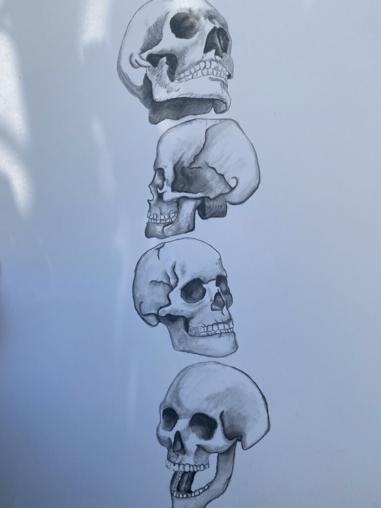 ArtStation - Skull illustration