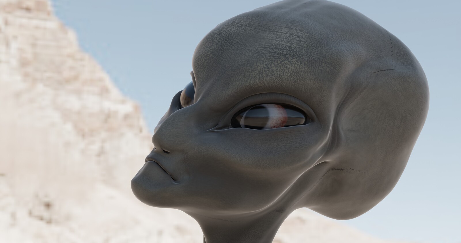 E.T species - E.T Species - Greys