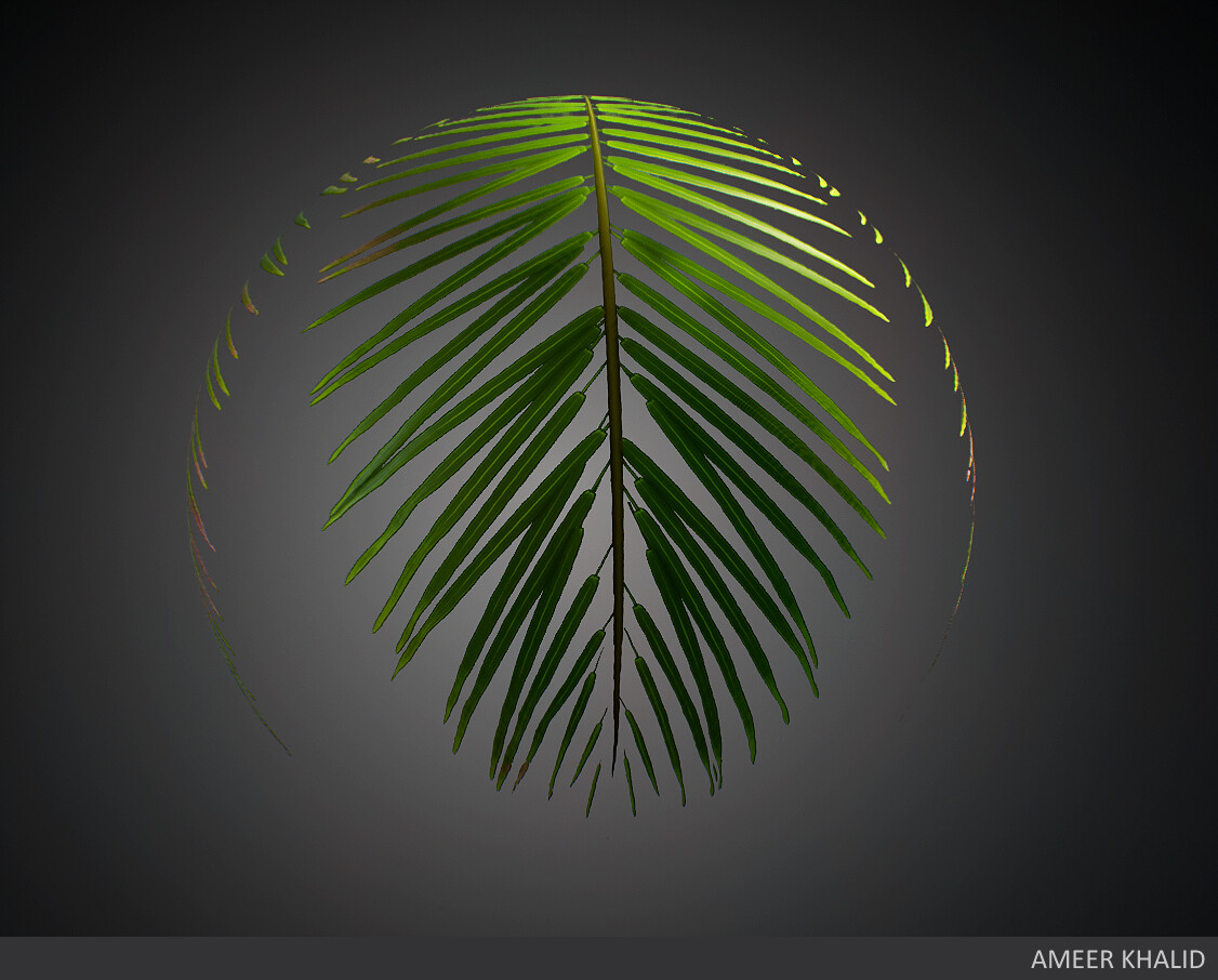 ArtStation - Palm Tree material