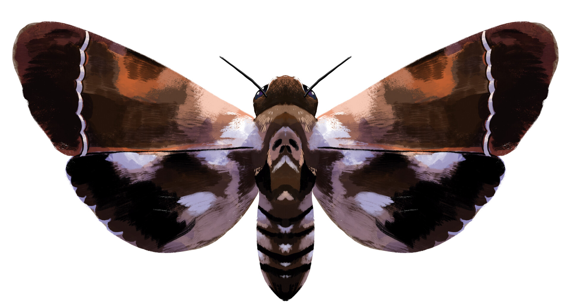 ArtStation - Nature Art