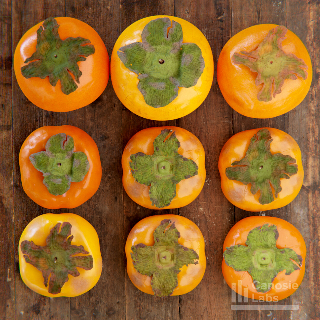 ArtStation - Persimmon fruit made in Blender. Textured in Substance Painter