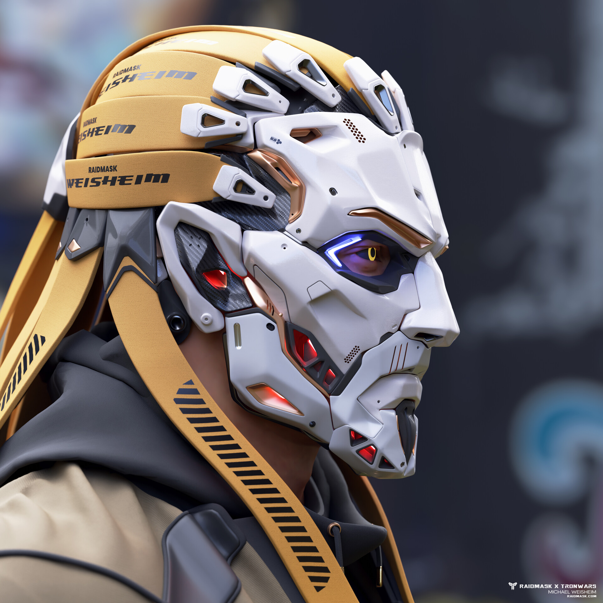 Polyarea | Michael Weisheim - Raidmask