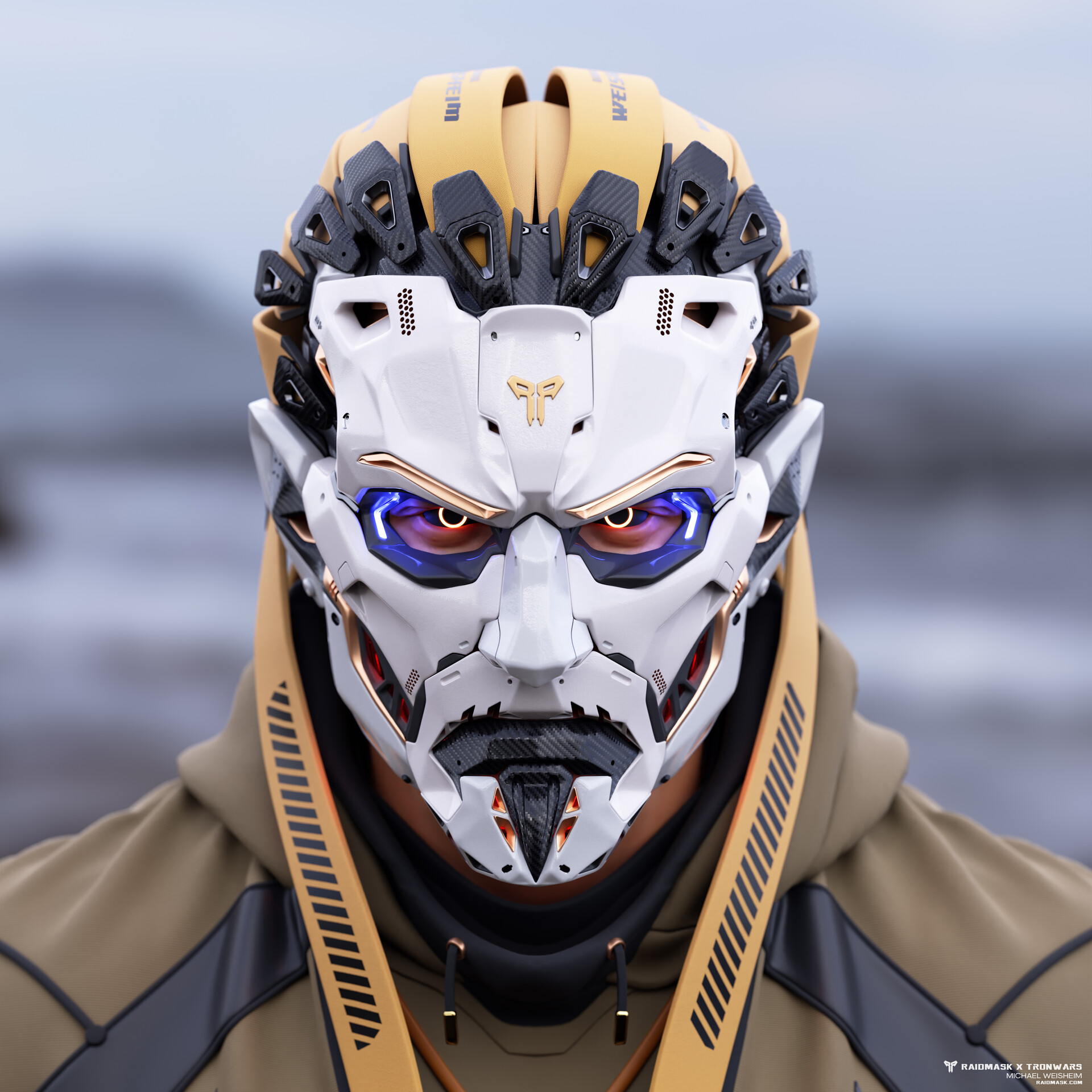 Polyarea | Michael Weisheim - Raidmask