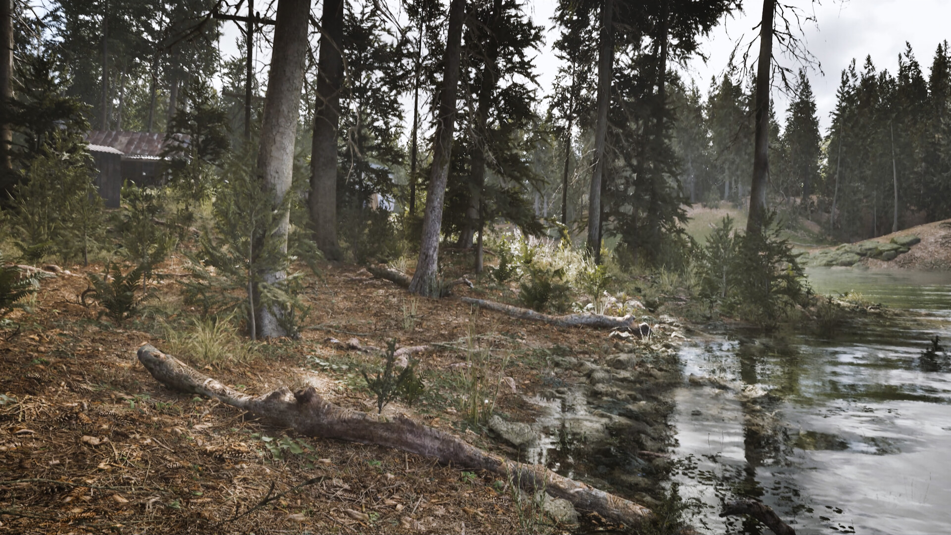 Pasquale Scionti - Ingame Realistic Forest Unreal Engine 5.1 Lumen Nanite