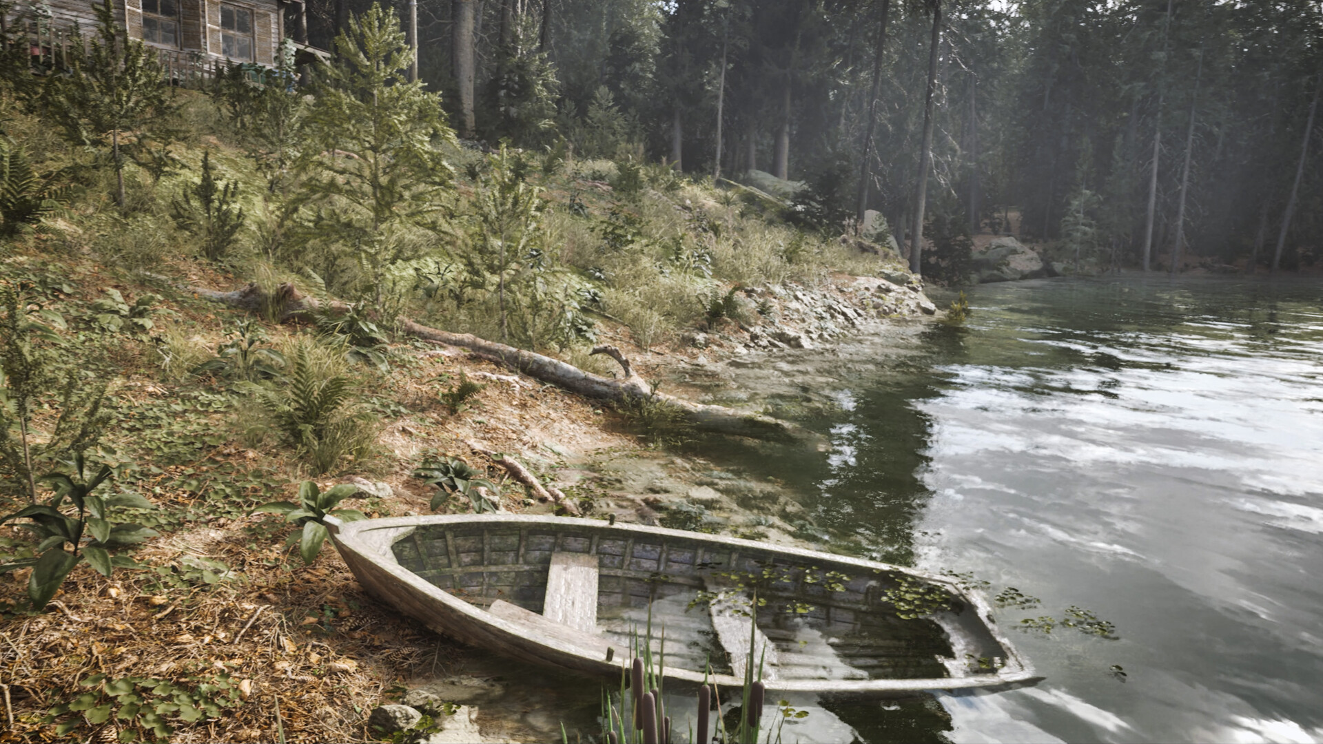 Pasquale Scionti - Ingame Realistic Forest Unreal Engine 5.1 Lumen Nanite