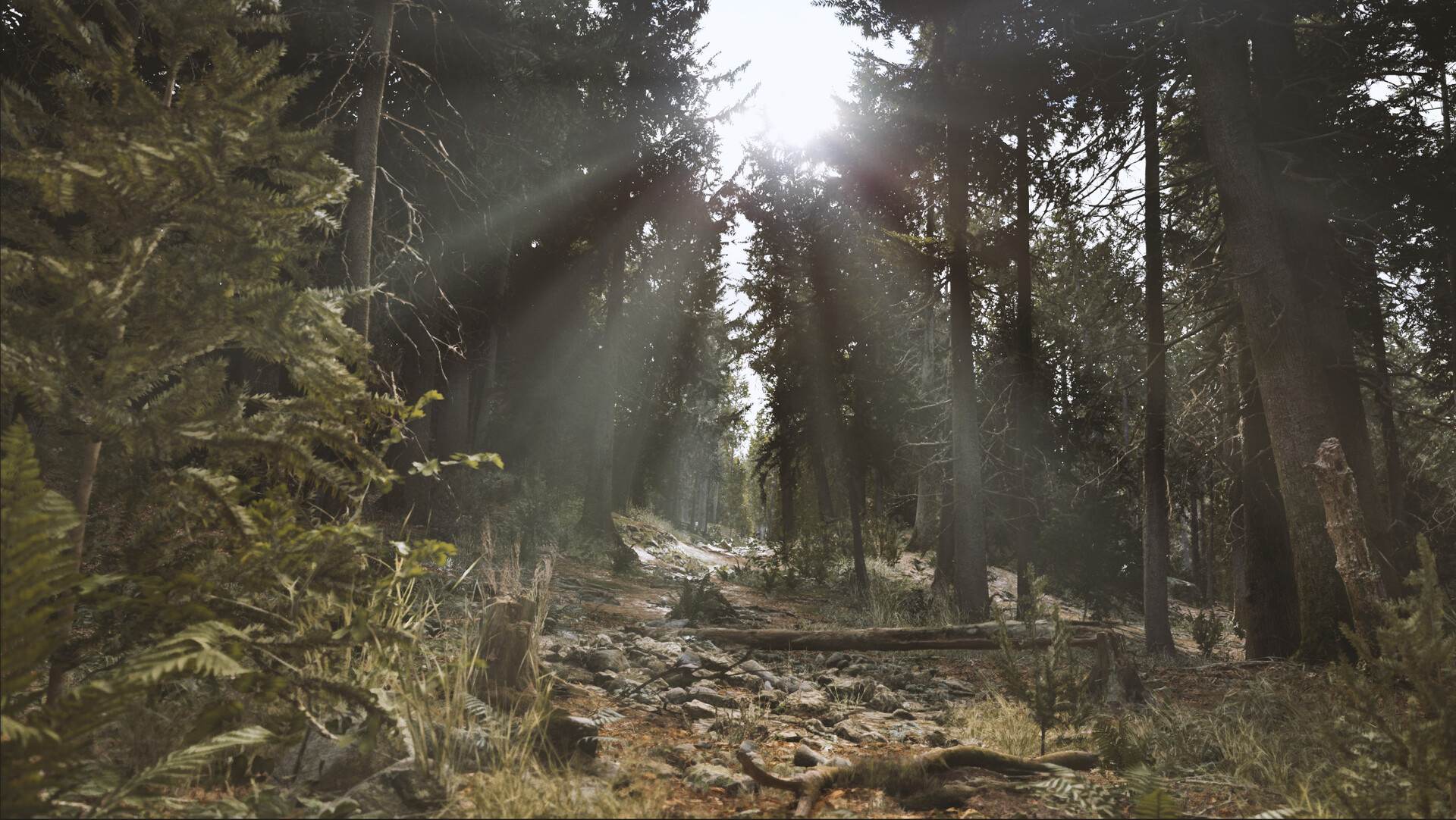 Pasquale Scionti - Ingame Realistic Forest Unreal Engine 5.1 Lumen Nanite