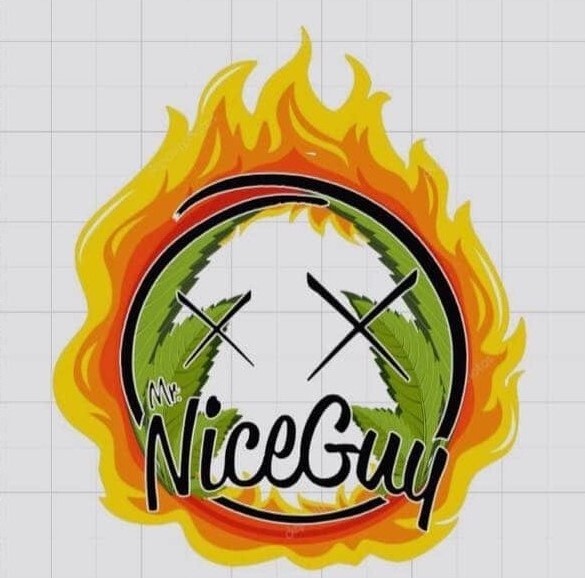 ArtStation - Mr. NiceGuy Logo Design