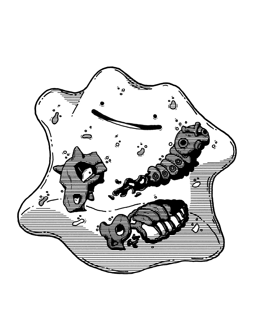 ArtStation - Ditto Anatomy