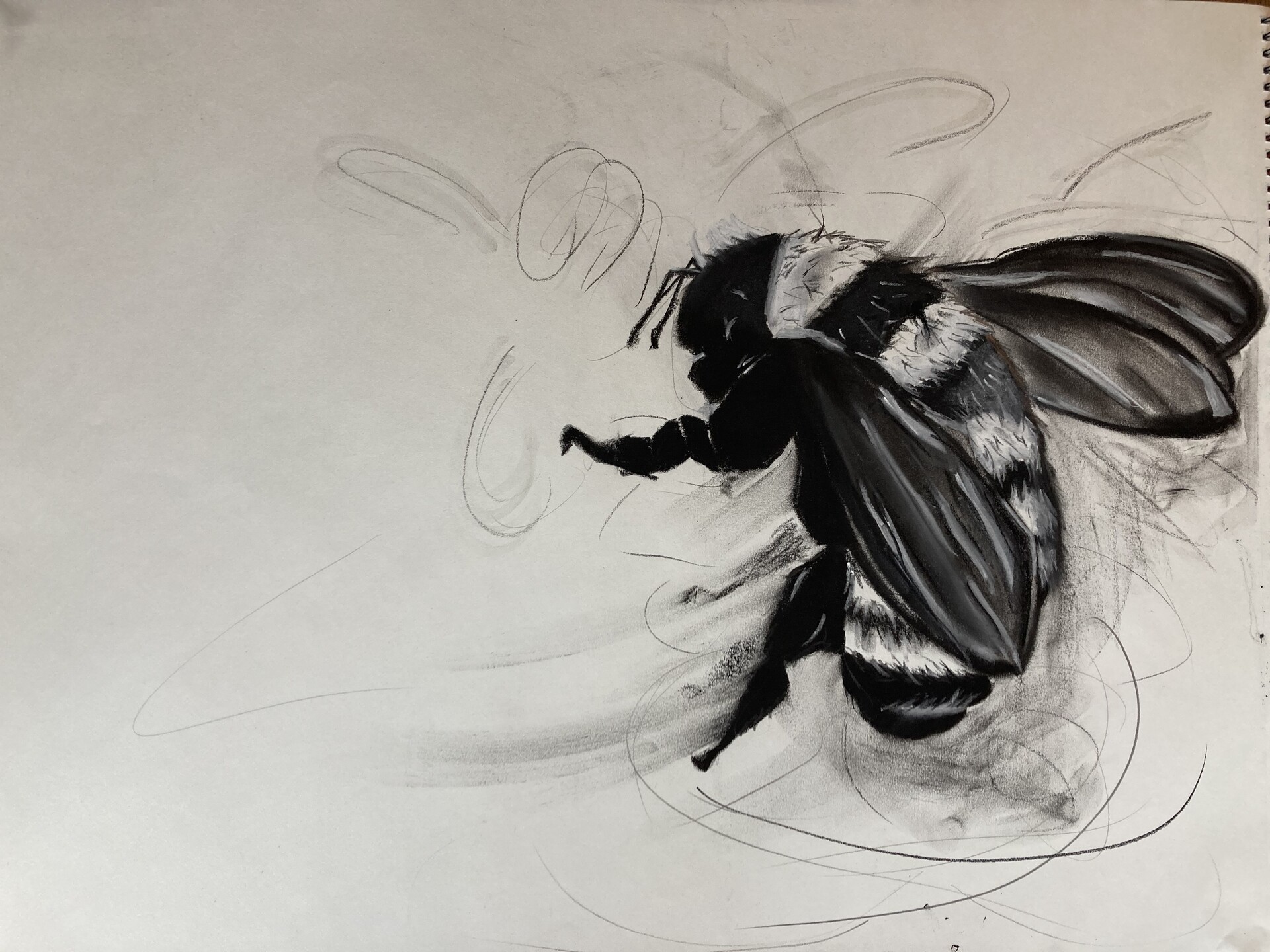 ArtStation - Speed Bee The Bumble Bee