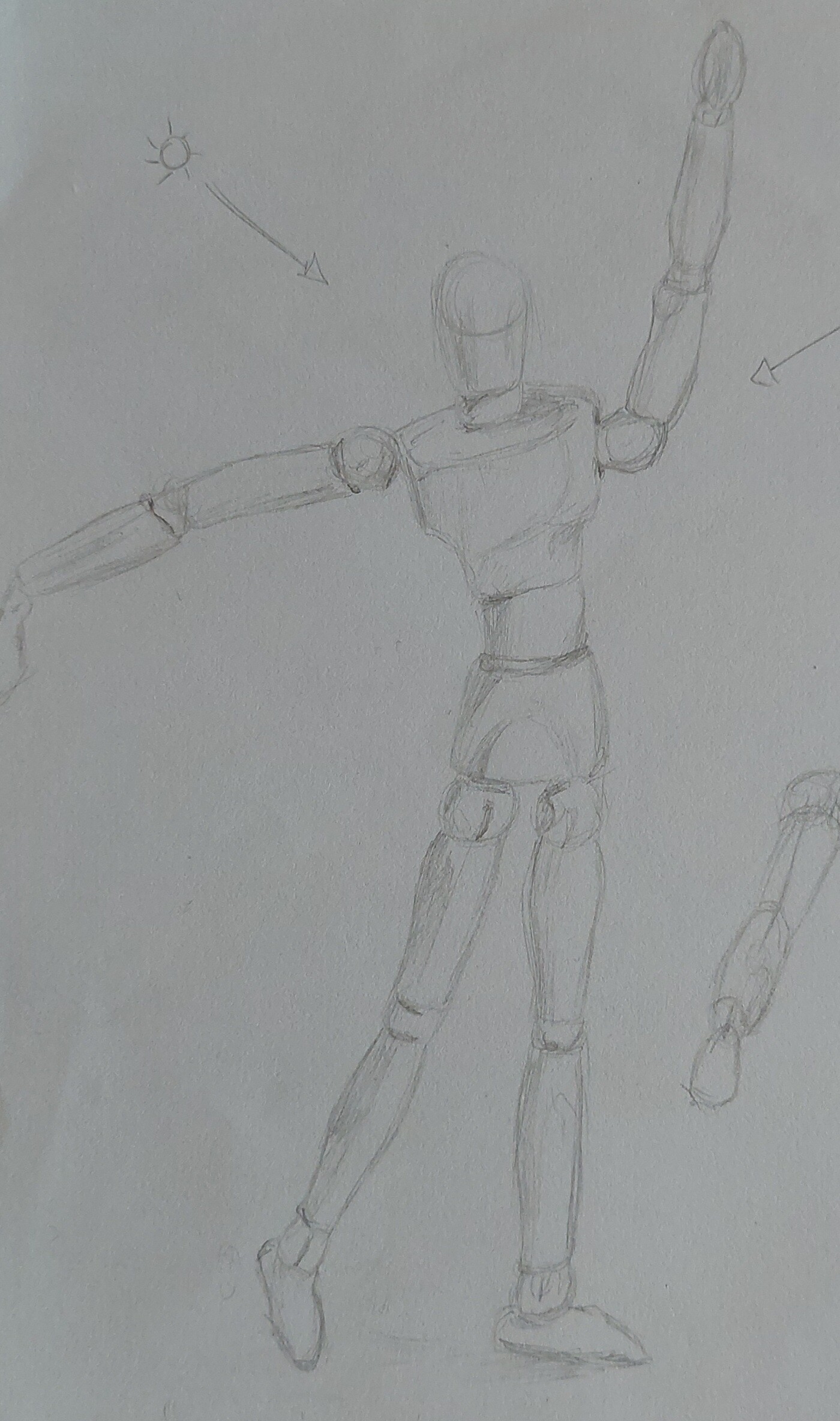 ArtStation - Traditional Observational Anatomy