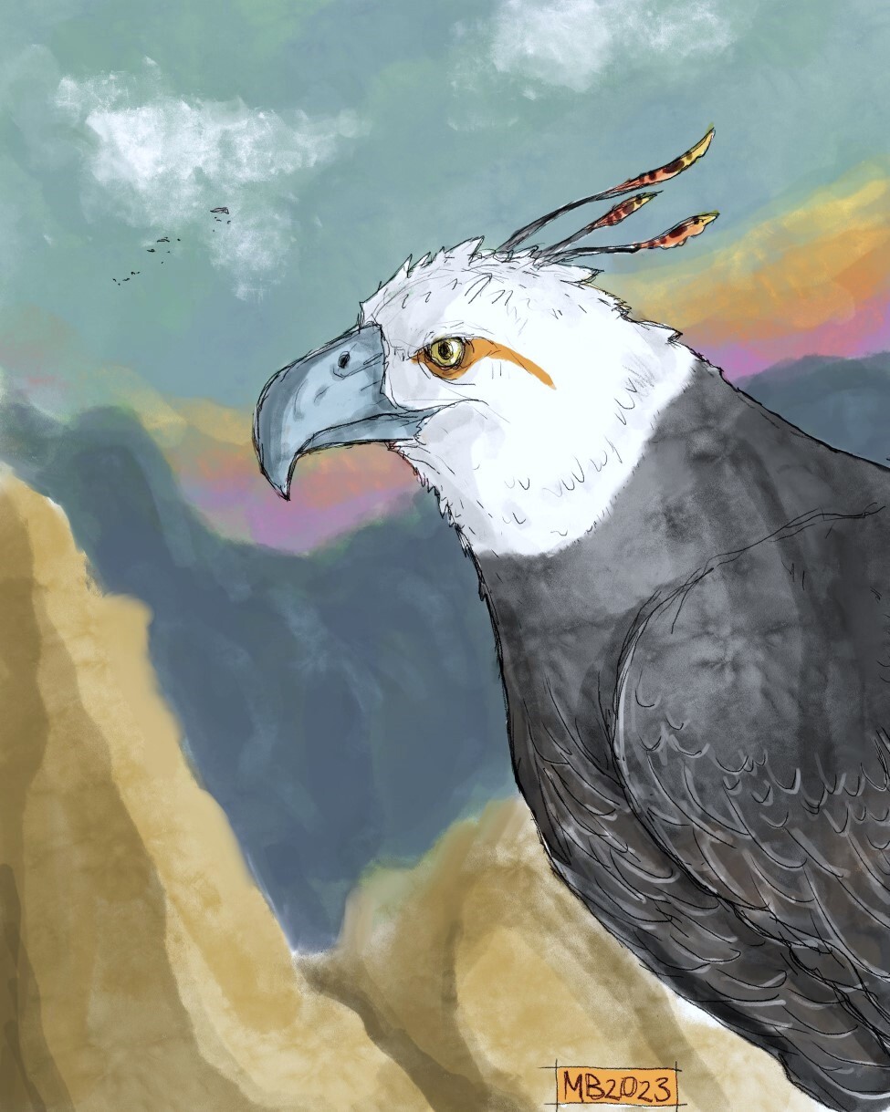 ArtStation - Weird Birds