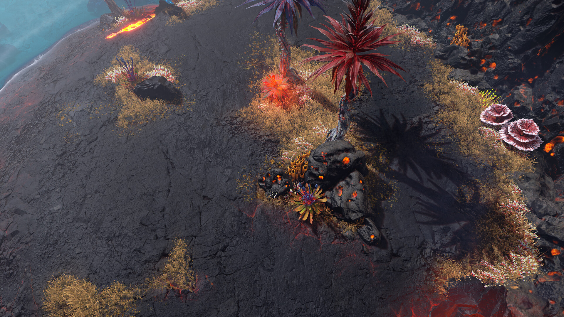 ArtStation - Volcanic bio