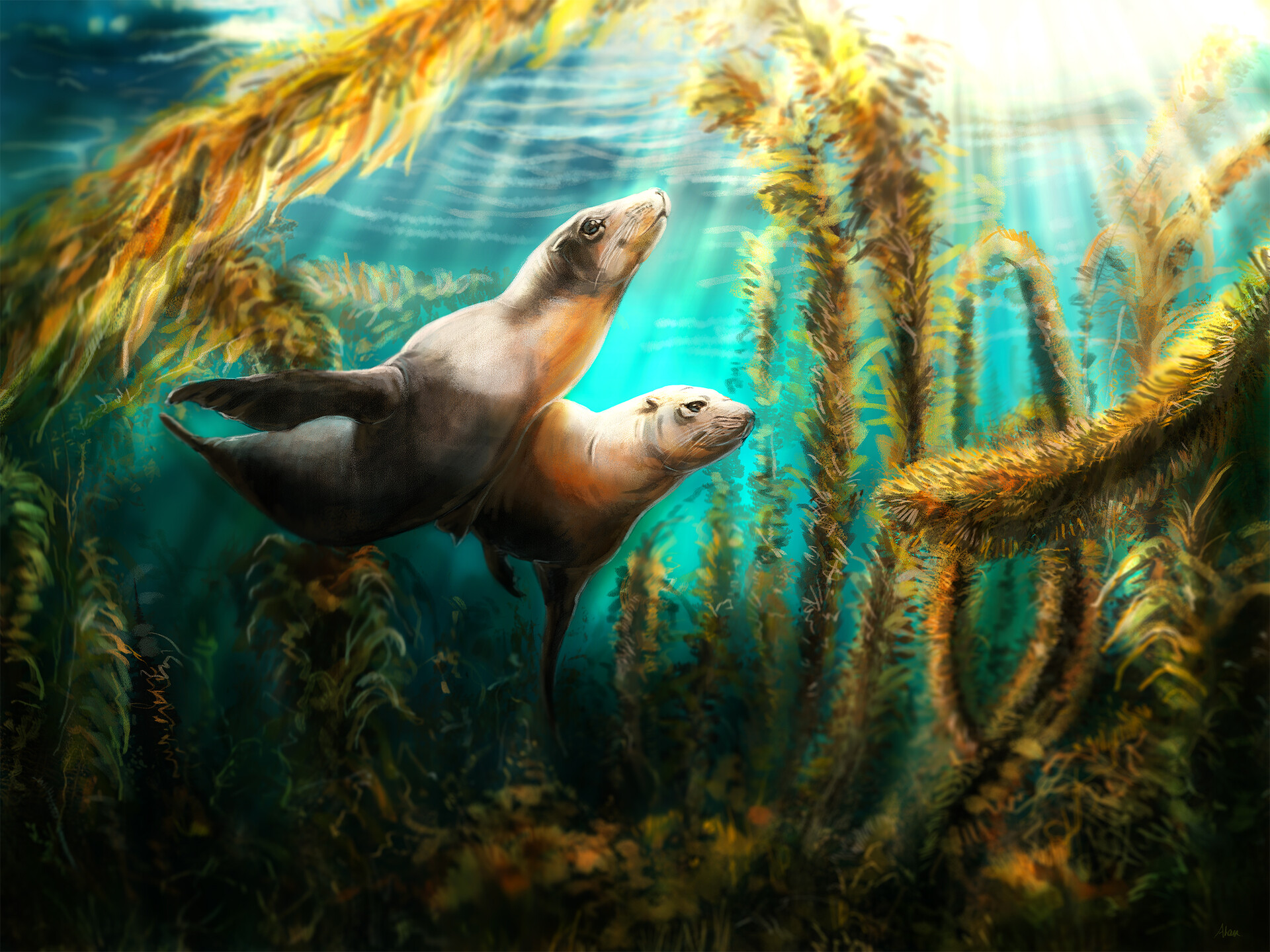 ArtStation - California Sea Lions