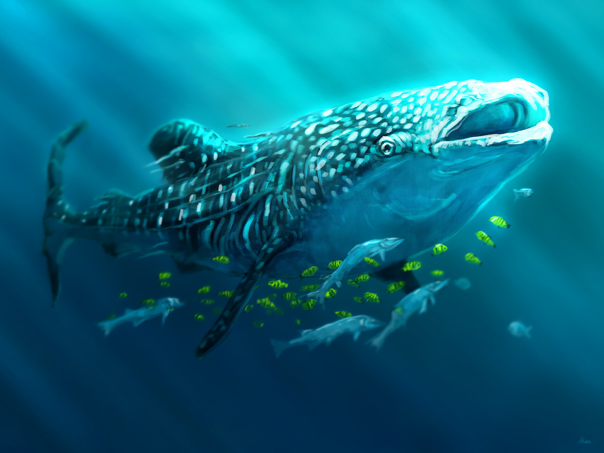 ArtStation - Ocean Gentle Giant - Whale shark