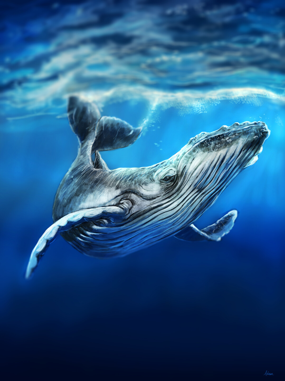alandodrawing - Great Whale