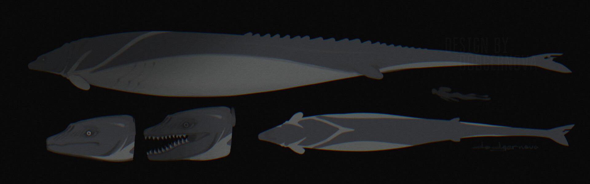 basilosaurus size comparison