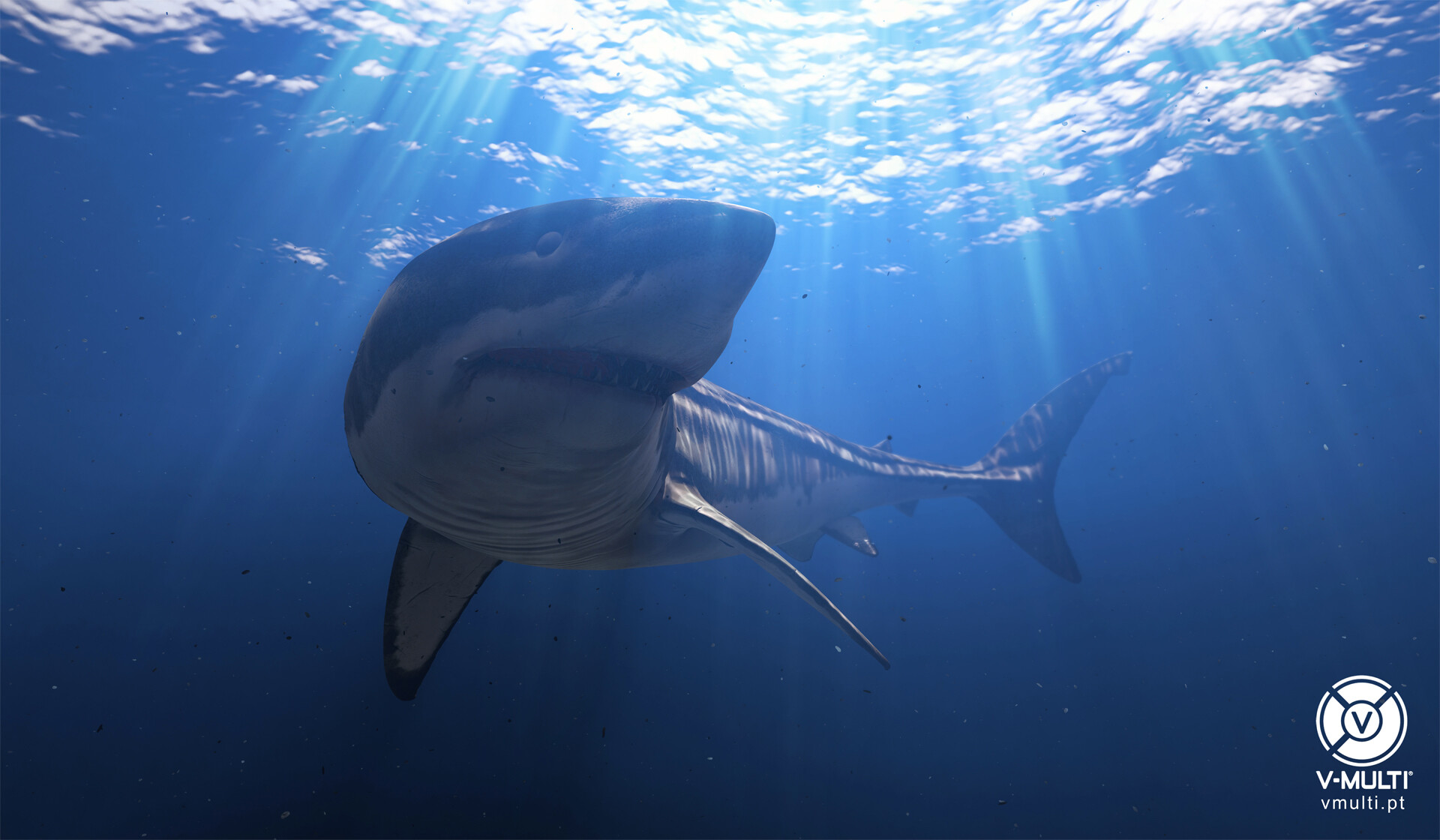ArtStation - Great White Shark