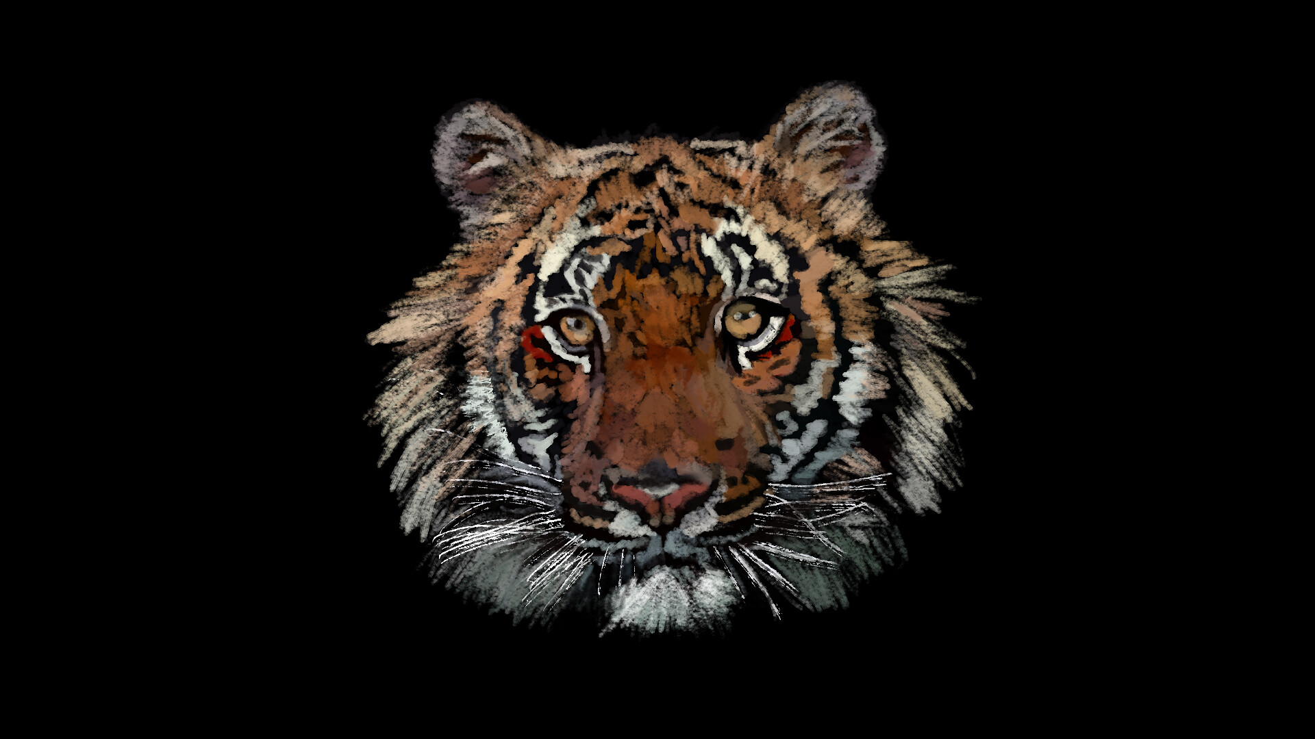 ArtStation - TIGER DRAWING