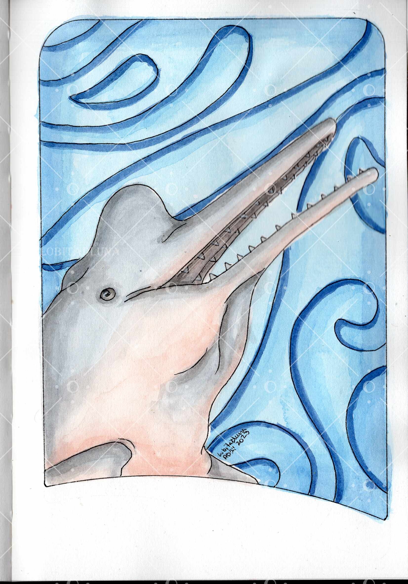 Amazon River Dolphin Drawing