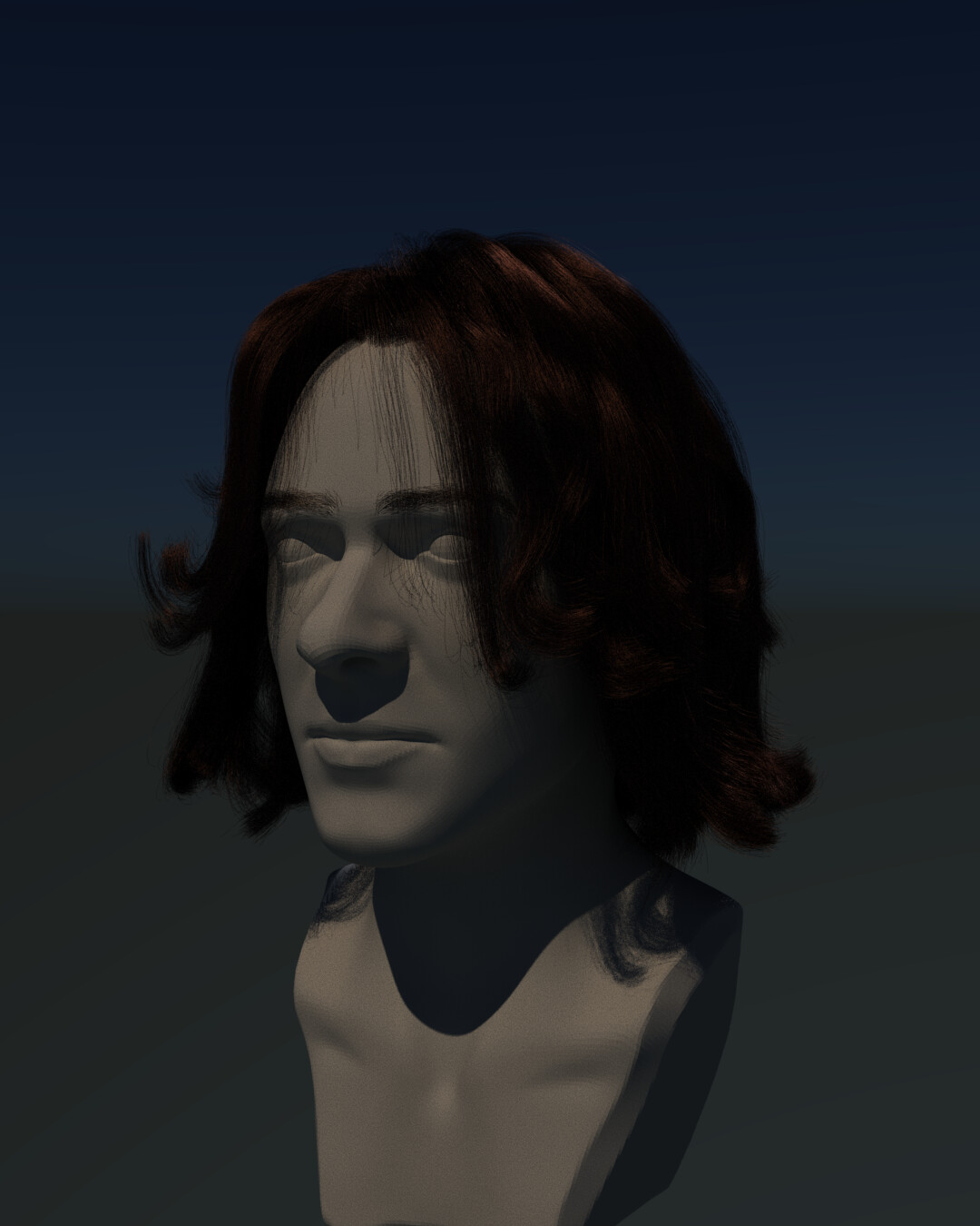 Owen - Long Hair Study