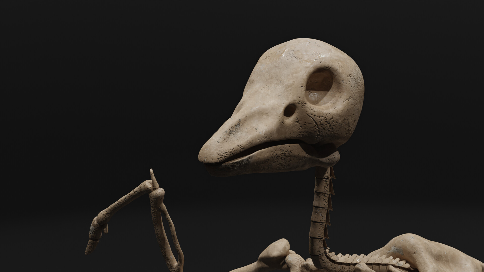 ArtStation - Bird sceleton