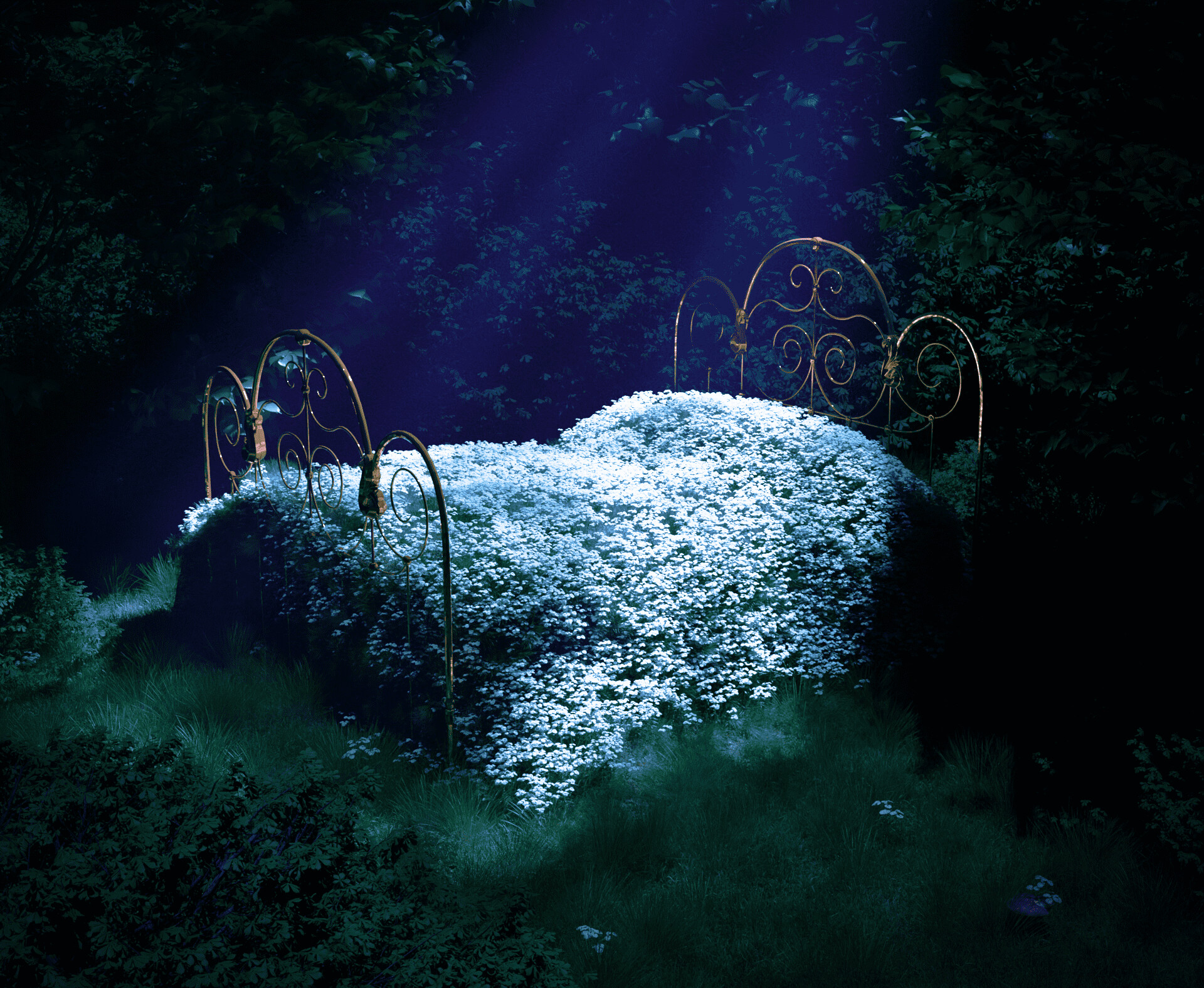 ArtStation - Bed of flowers in the night forest