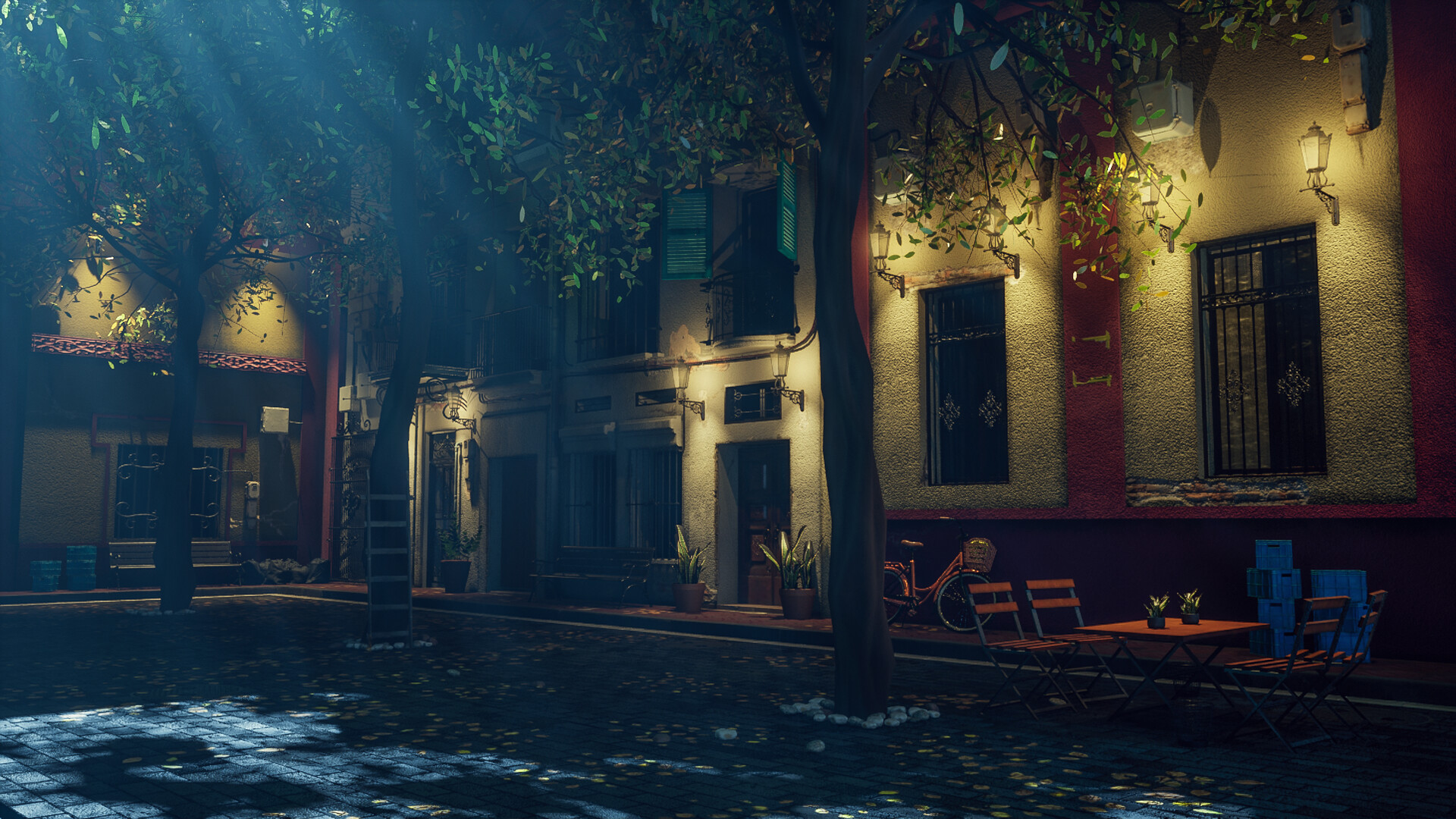 Shahzaib Naveed - Street