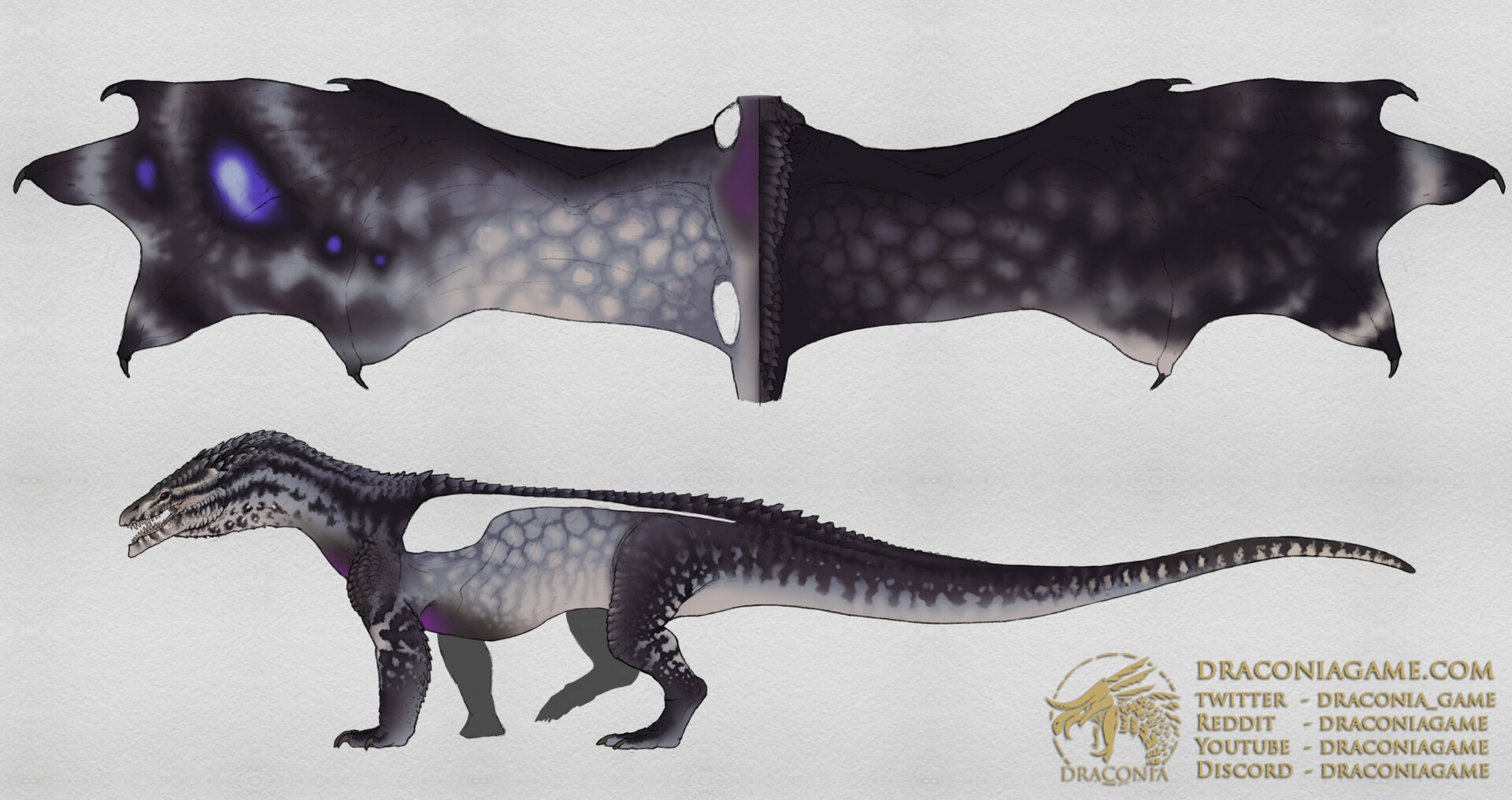 ArtStation - European dragon concept art