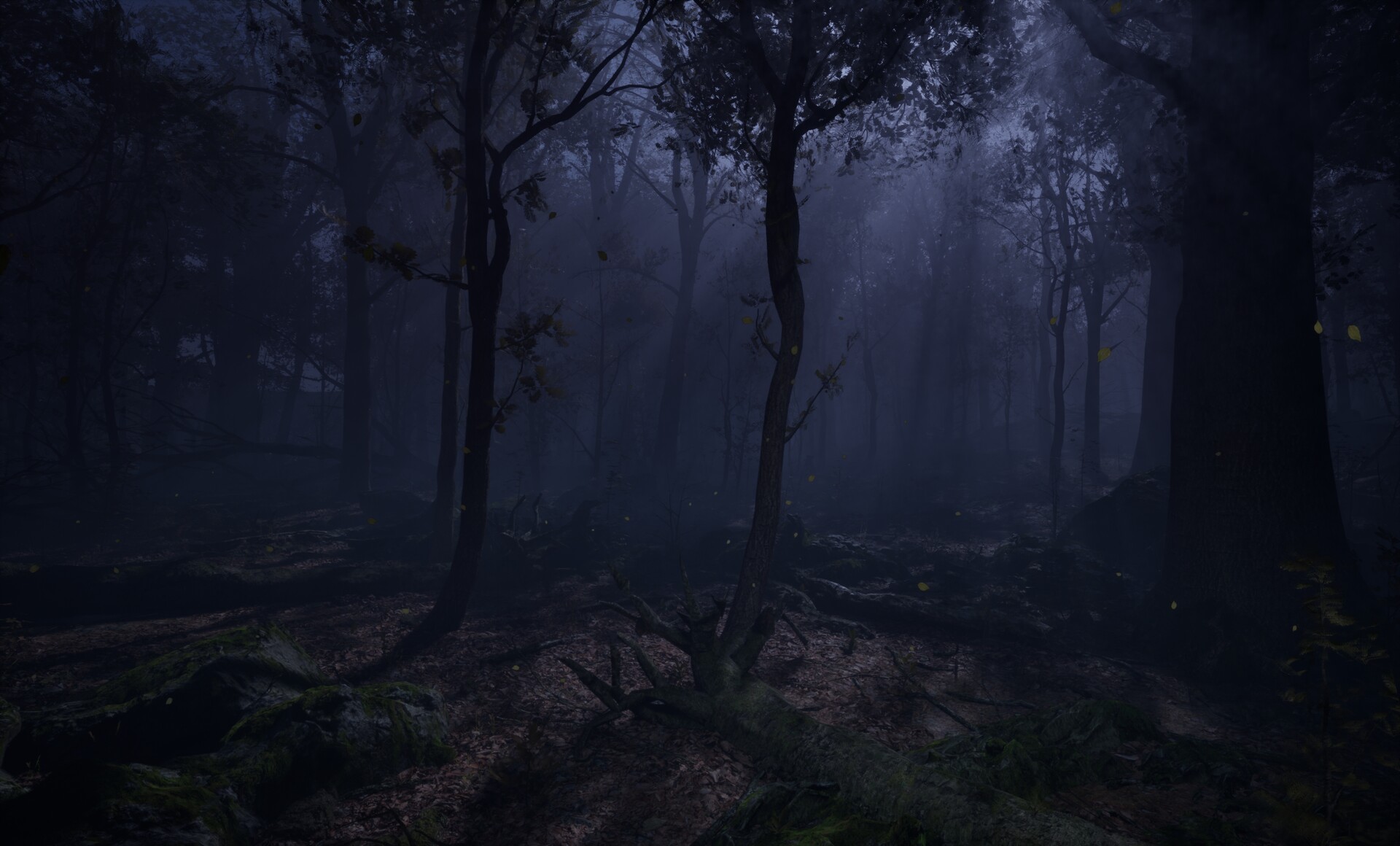 Mostafa Eid - NightHawk - dark forest