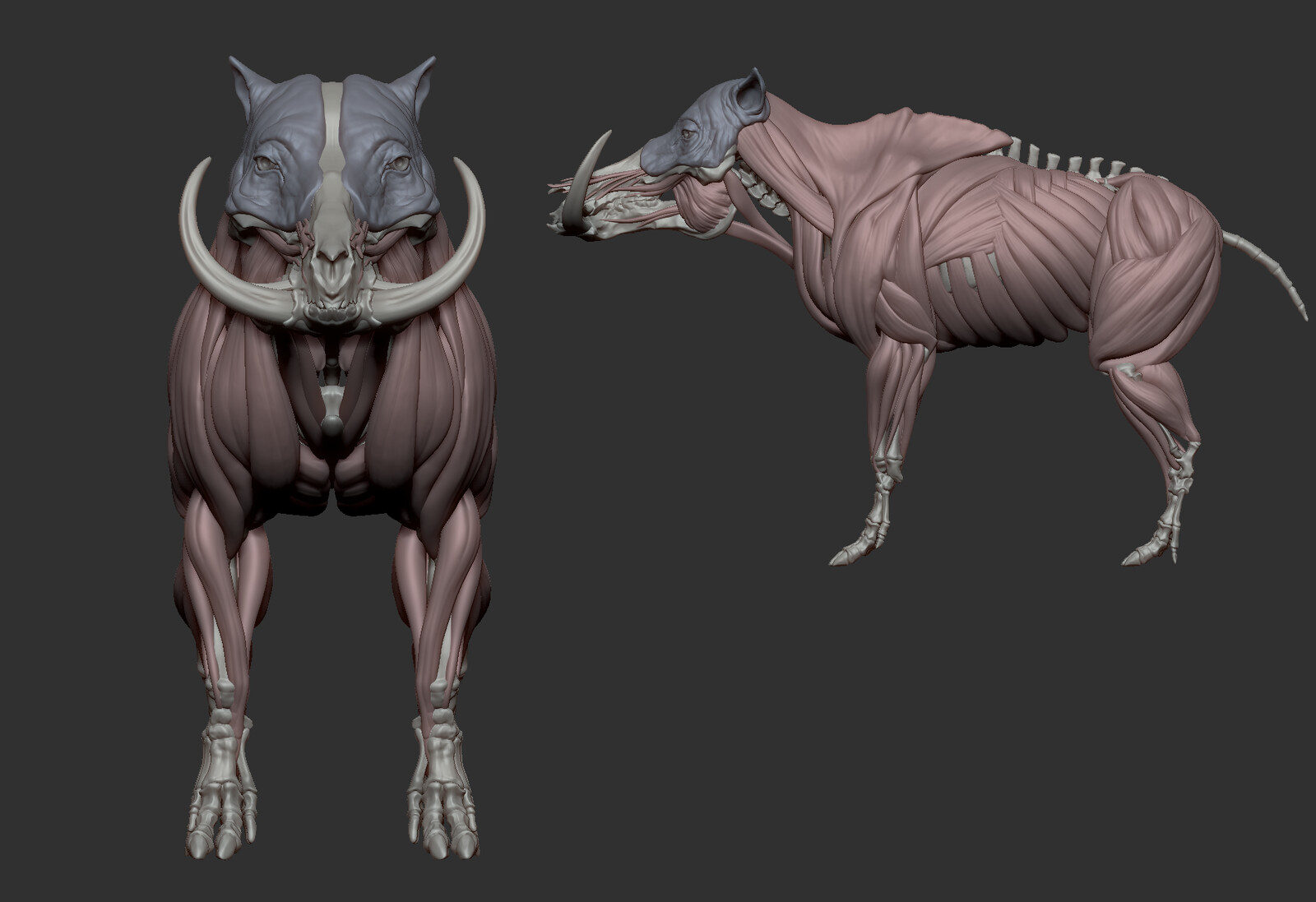 Kasper Rossing - Boar hybrid muscle WIP